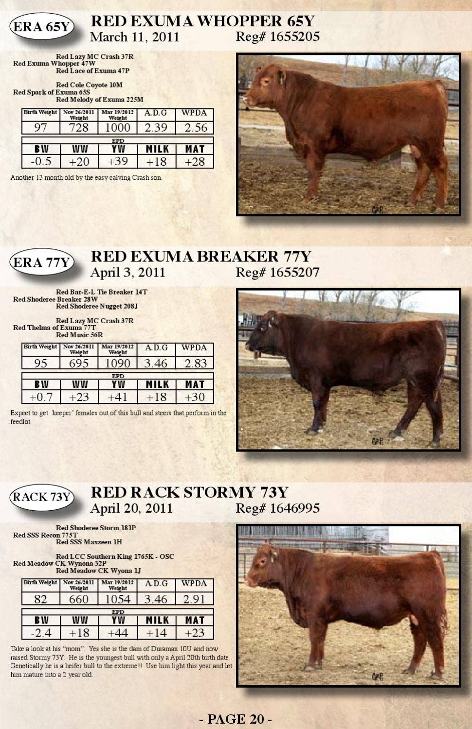 Fleming Bull Development Center Power Up Your Pasture Bull Sale 2012 by ...