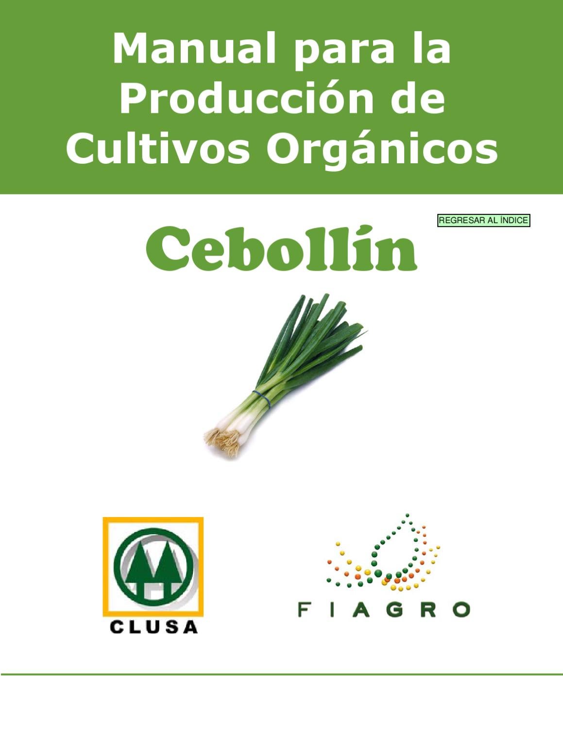 Manual Produccion Cebollin Organico by Samuel Salazar-Genovez - Issuu