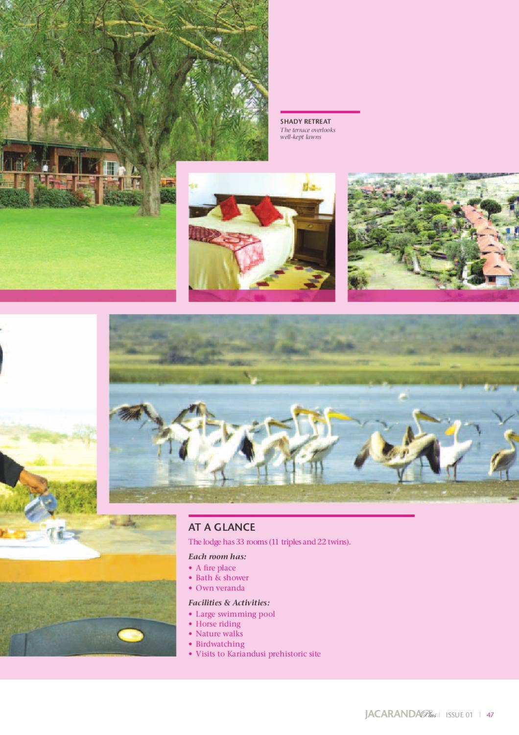 Jacaranda Plus Magazine - Issue 1 by Land & Marine Publications Ltd ...