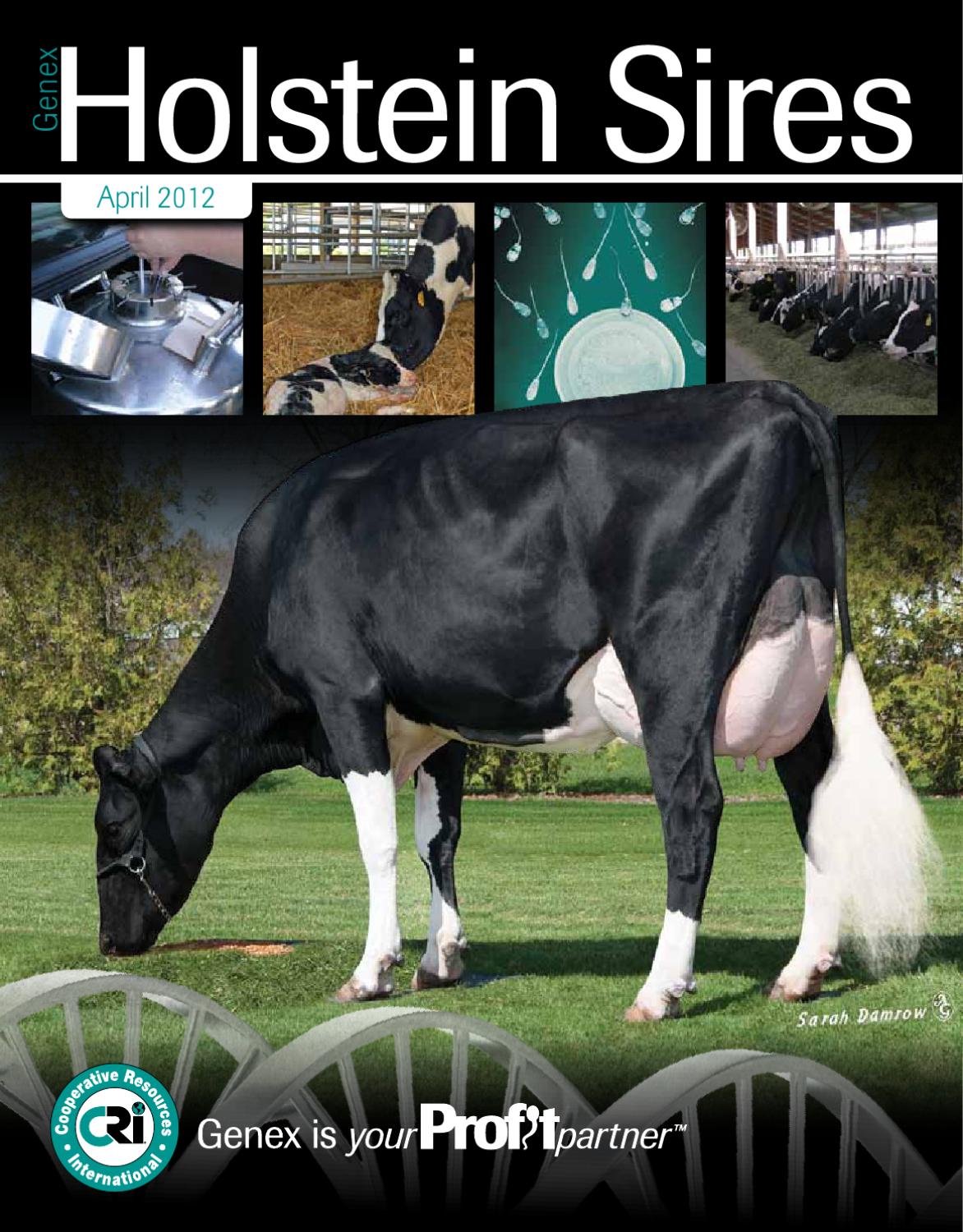 April 2012 Holstein Sires by GENEX - Issuu
