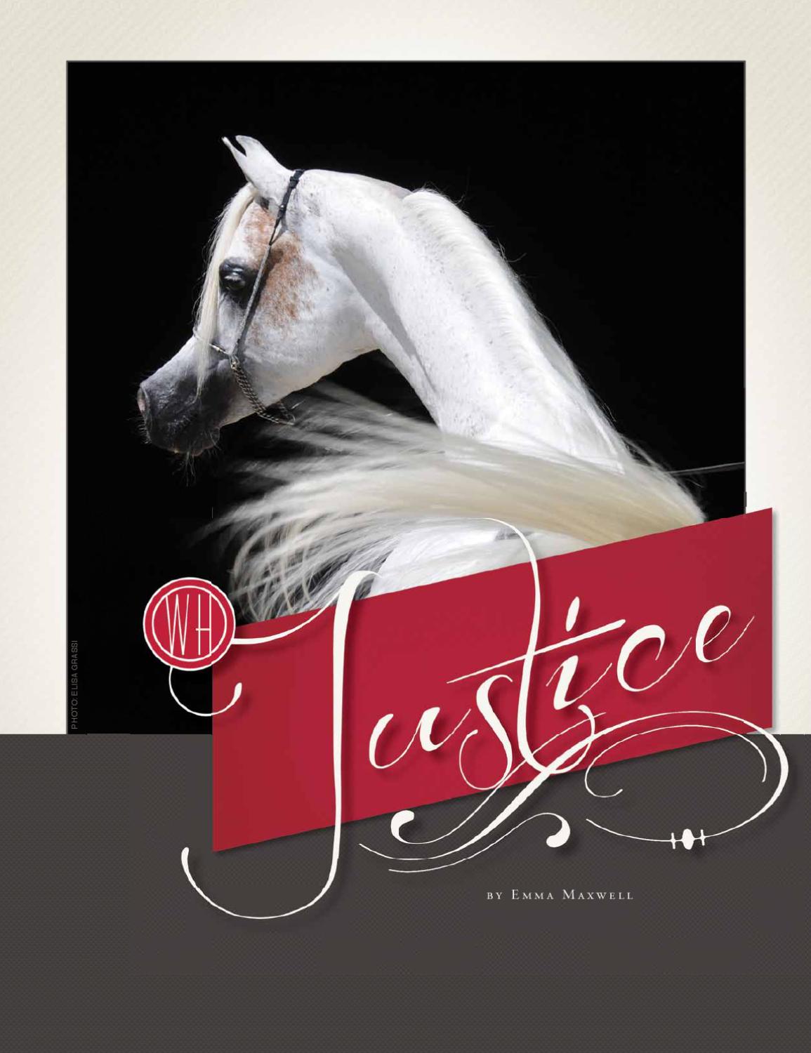 WH Justice by Arabian Horse World - Issuu
