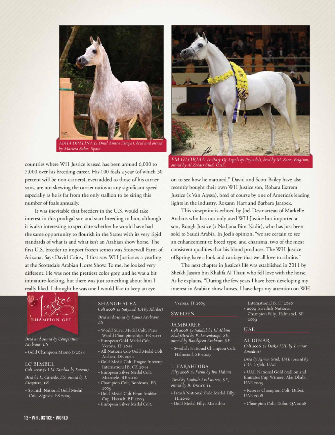 WH Justice by Arabian Horse World - Issuu