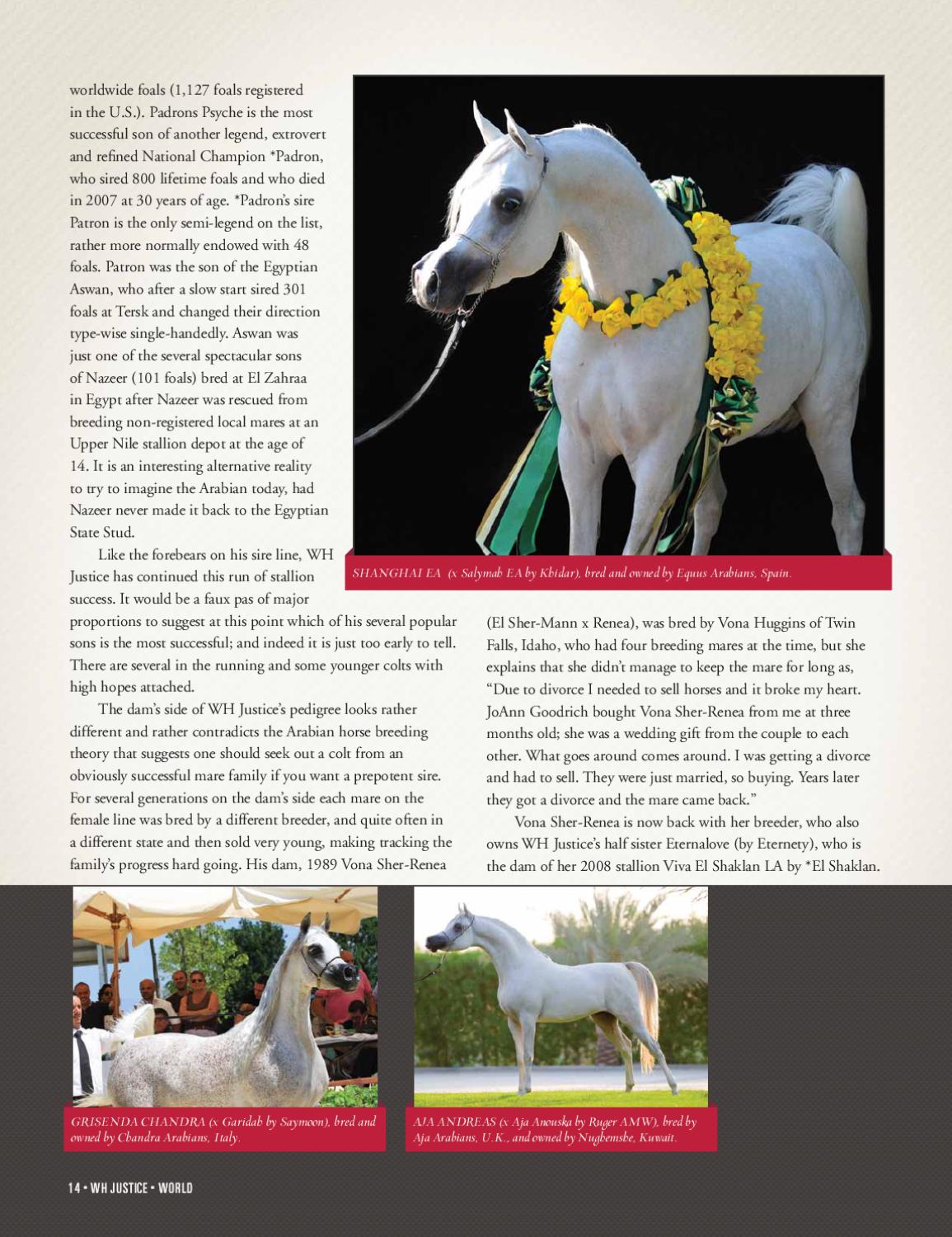 WH Justice by Arabian Horse World - Issuu