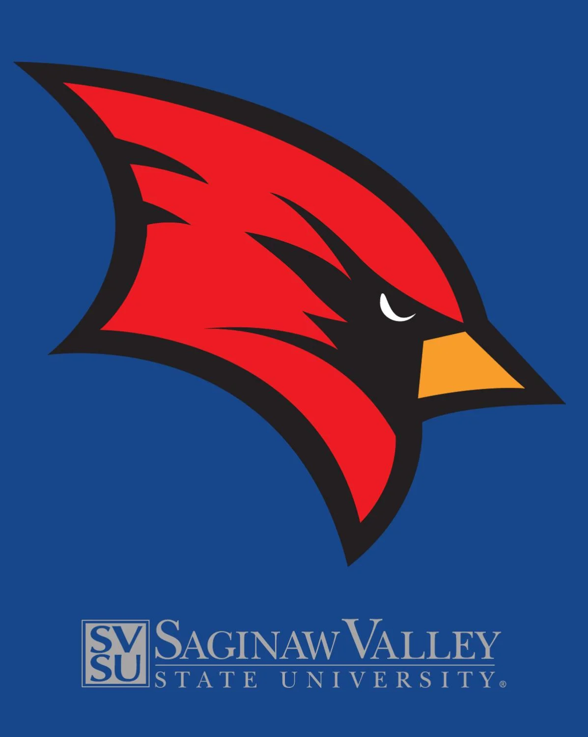 SVSU Undergraduate Viewbook 2011-12 by Saginaw Valley State University ...