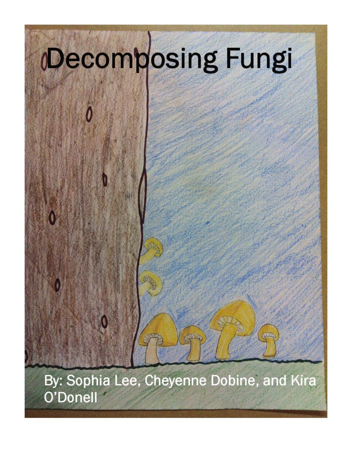 Soil Magazine Cheyenne Sophia Kira by Westridge School - Issuu