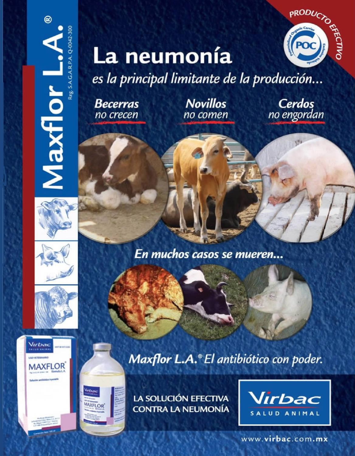 Maxflor L.A. by Laboratorios Virbac México - Issuu