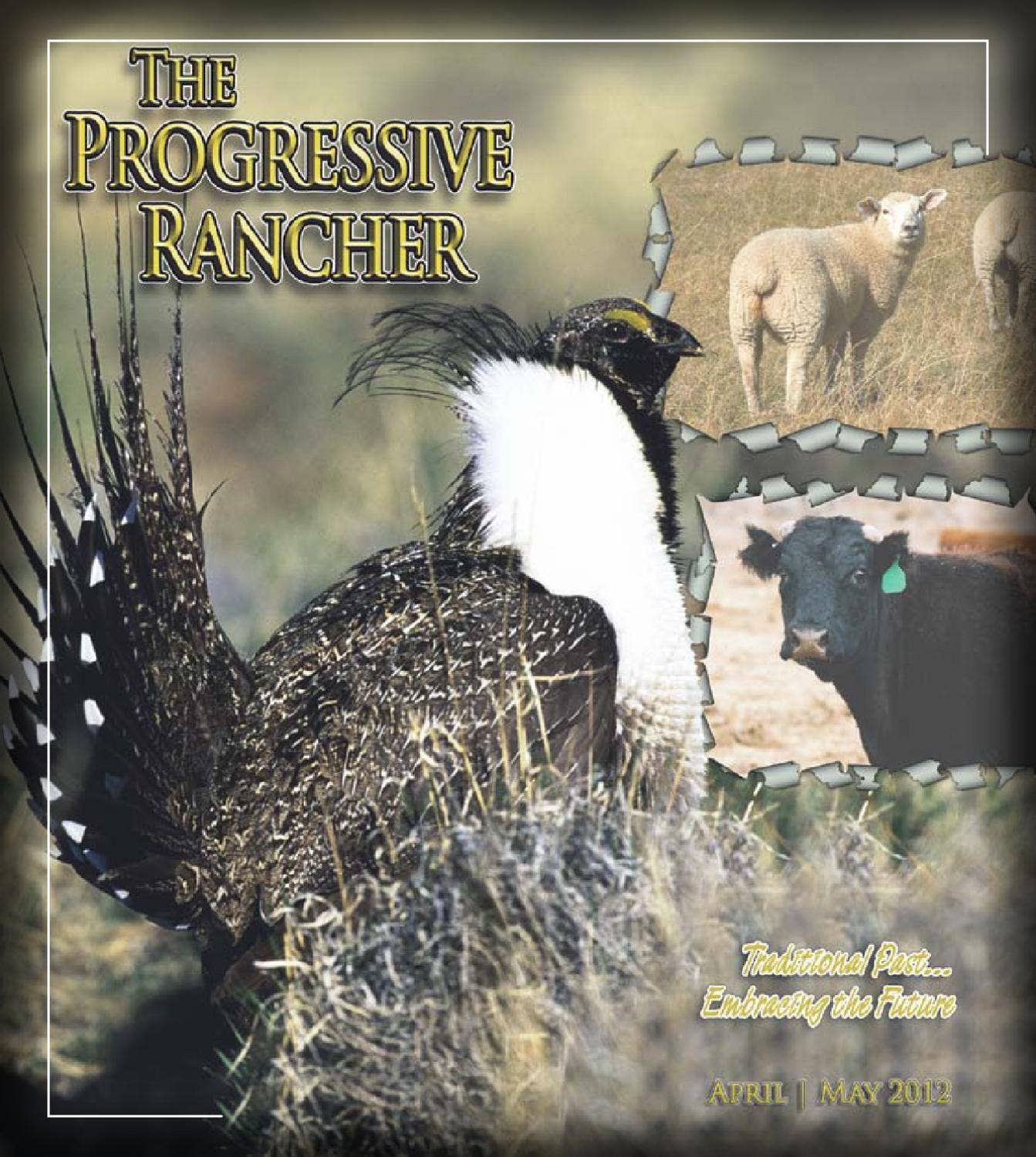 The Progressive Rancher April/May 2012 by JE Productions Graphic Design ...