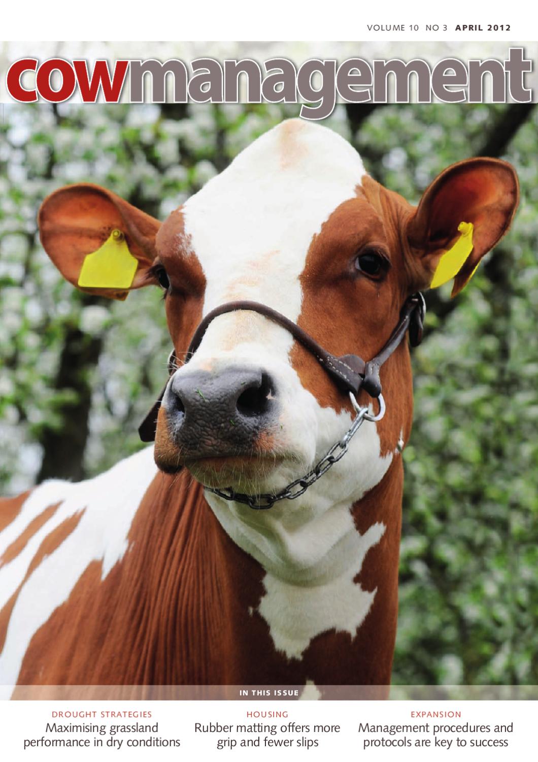 CowManagement UK April 2012 by CRV Uitgeverij/CRV Publishers - Issuu