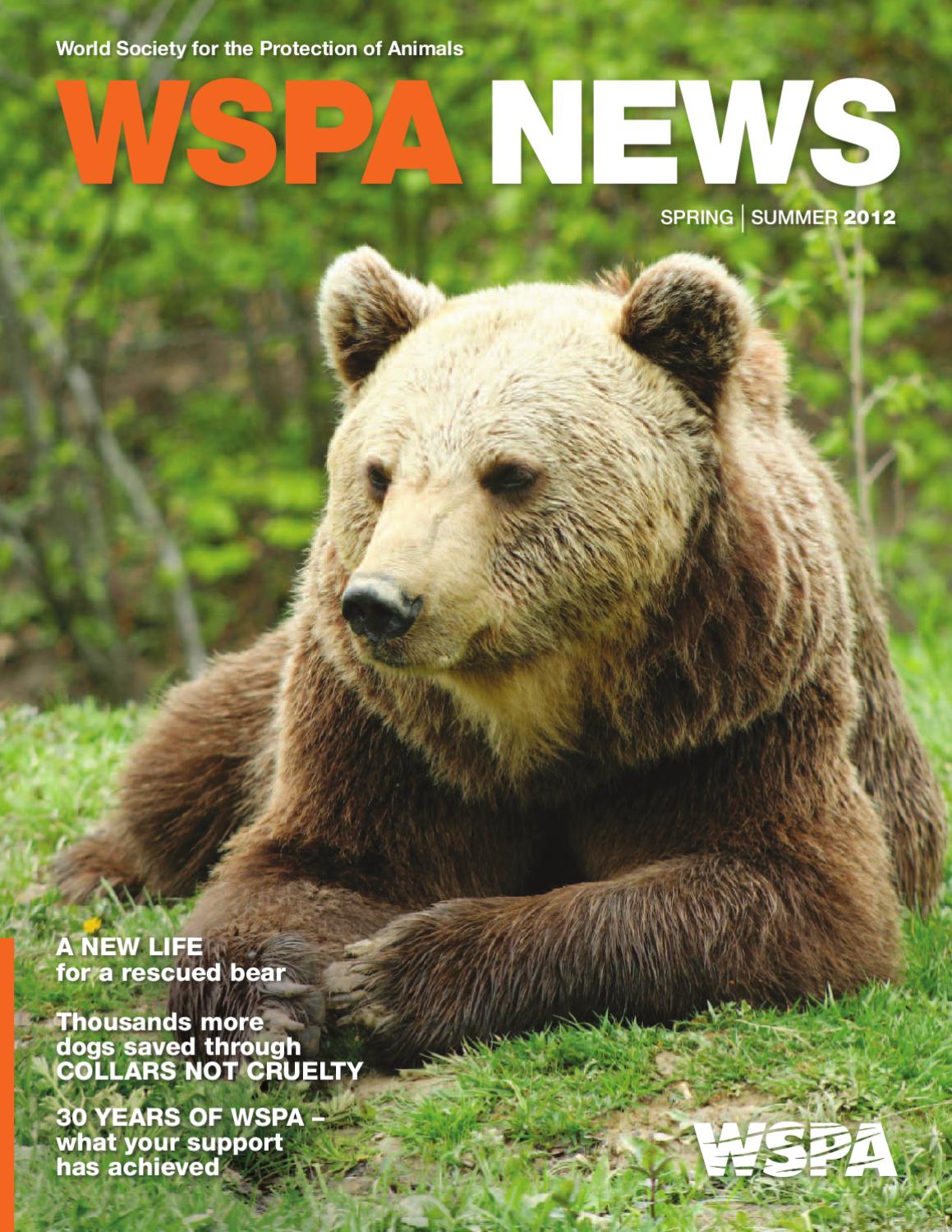 WSPA News Spring | Summer 2011 by World Animal Protection Canada - Issuu