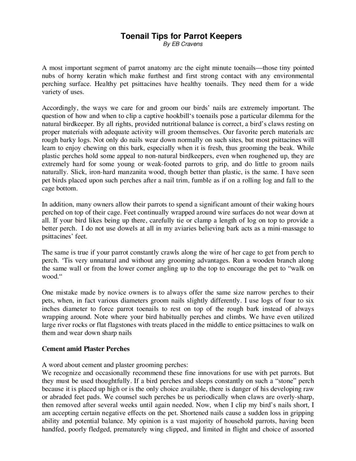 Toenail Tips for Parrot Keepers by World Parrot Trust - Issuu