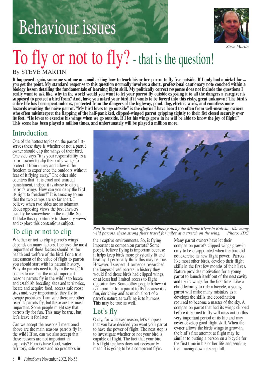 To Fly or Not to Fly? - PsittaScene Issue 14.4, Nov. 2002 by World ...