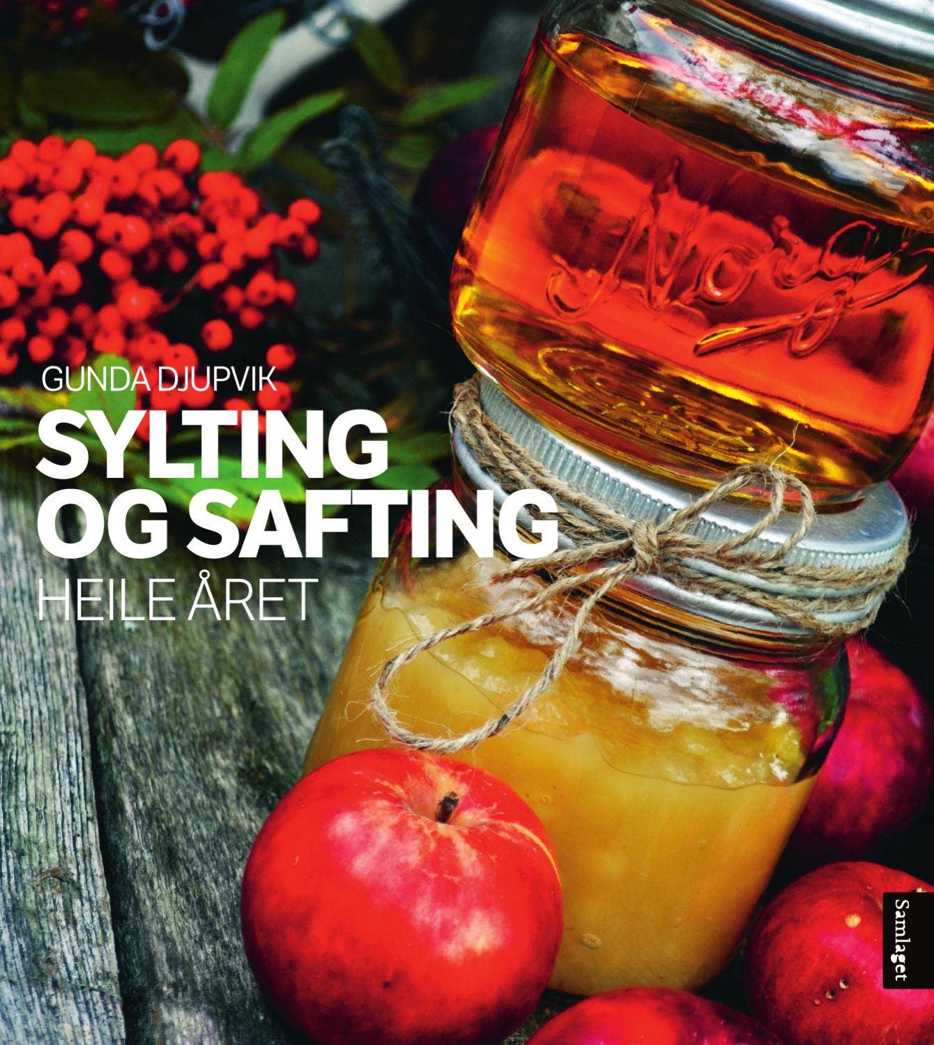 Sylting og safting - heile året by Det Norske Samlaget - Issuu