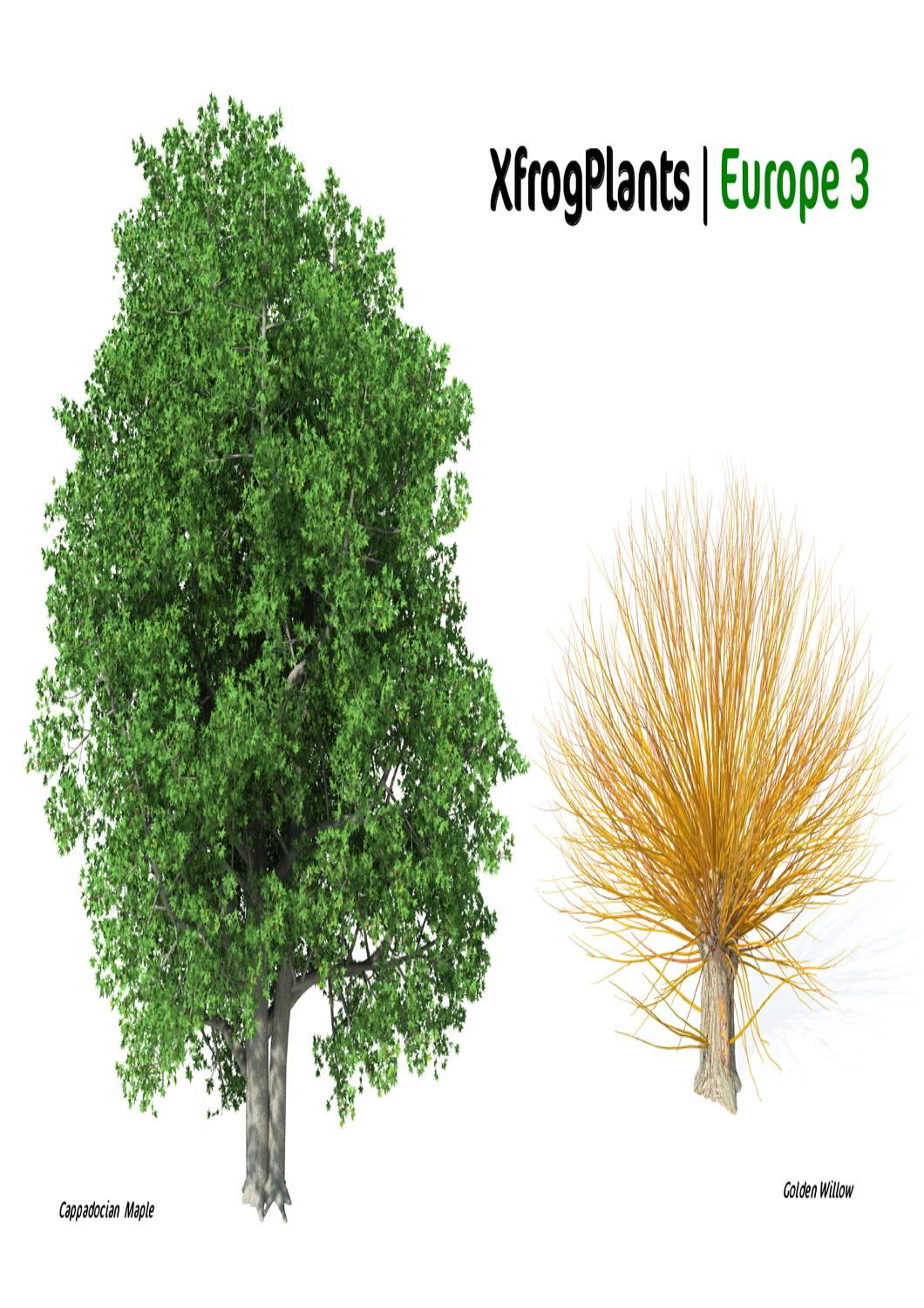 /Europe3_XfrogPlants_EN by XFROG - Issuu