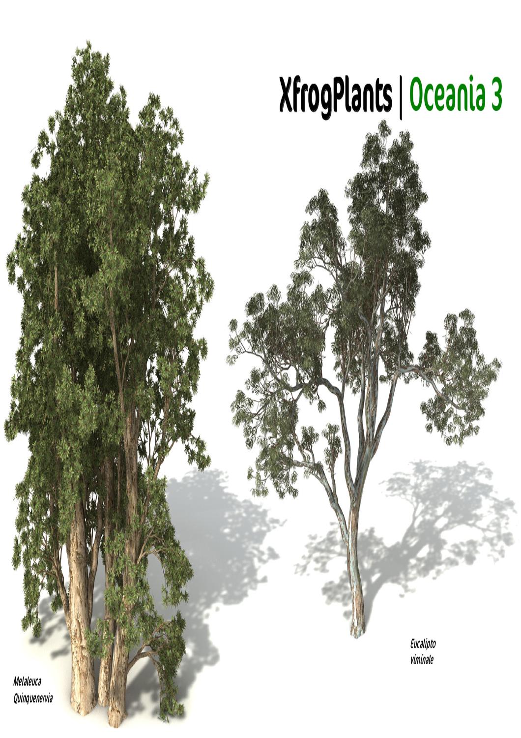 /Oceania3_XfrogPlants_IT by XFROG - Issuu