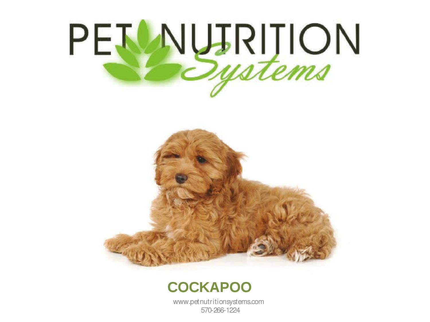 COCKAPOO Breed Specific Diet Plan by Pet Nutrition Systems - Issuu