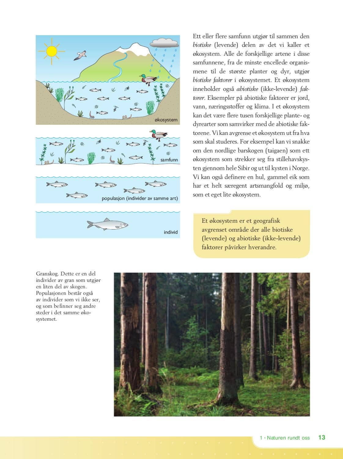 Bios biologi 1 (2012) by Cappelen Damm - Issuu