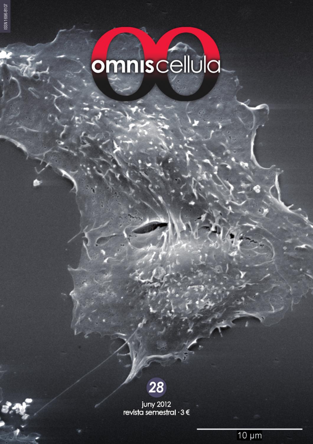 Omnis Cellula by Institut d'Estudis Catalans - Issuu