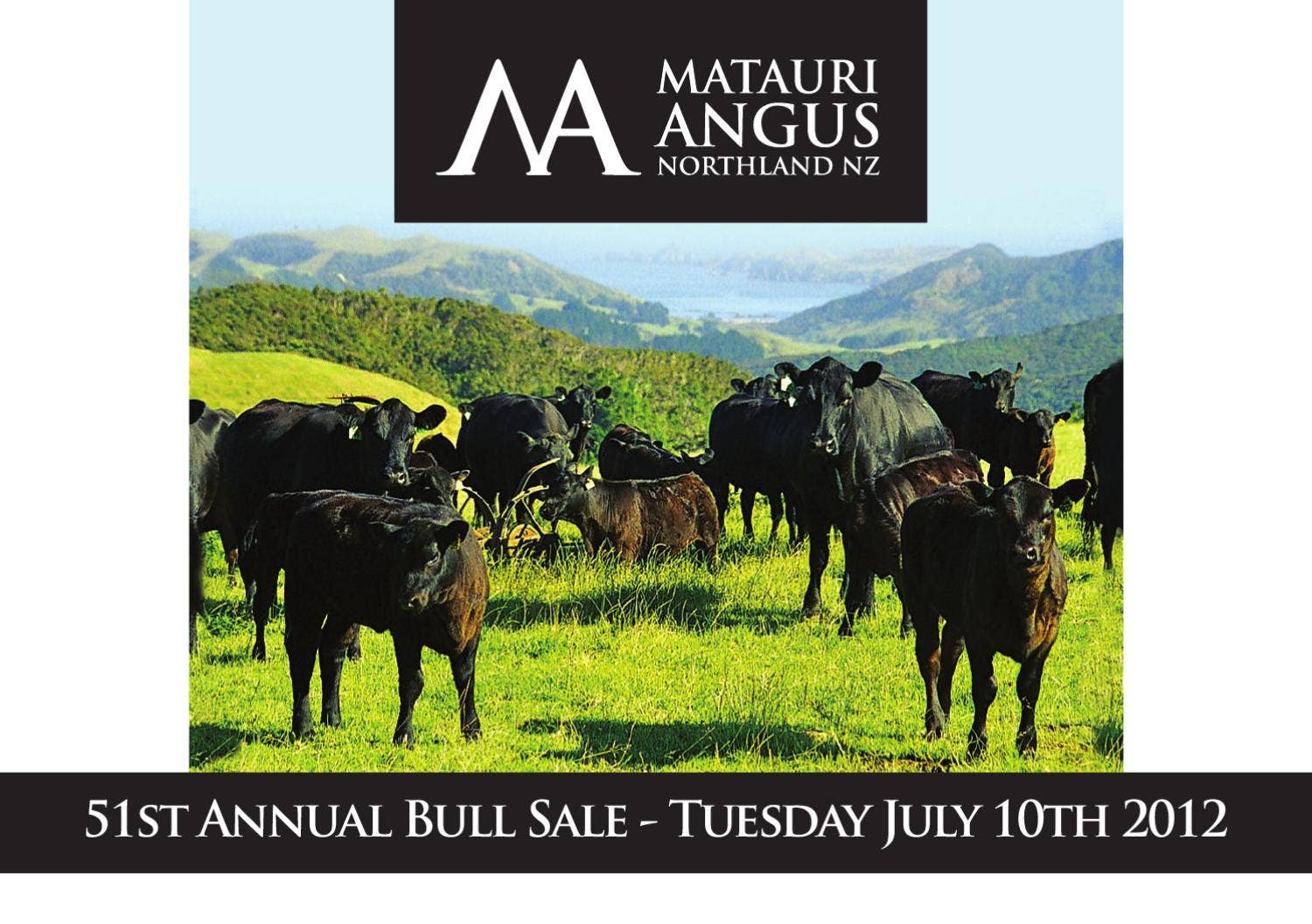 Matauri Angus Sale Catalogue 2012 by The Design Eye - Issuu