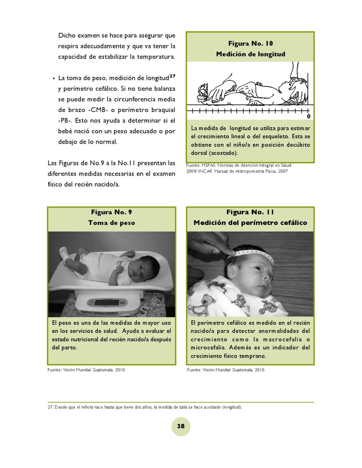 Salud y Nutricion de la Mujer Embarazada, Madre Lactante y Recién ...