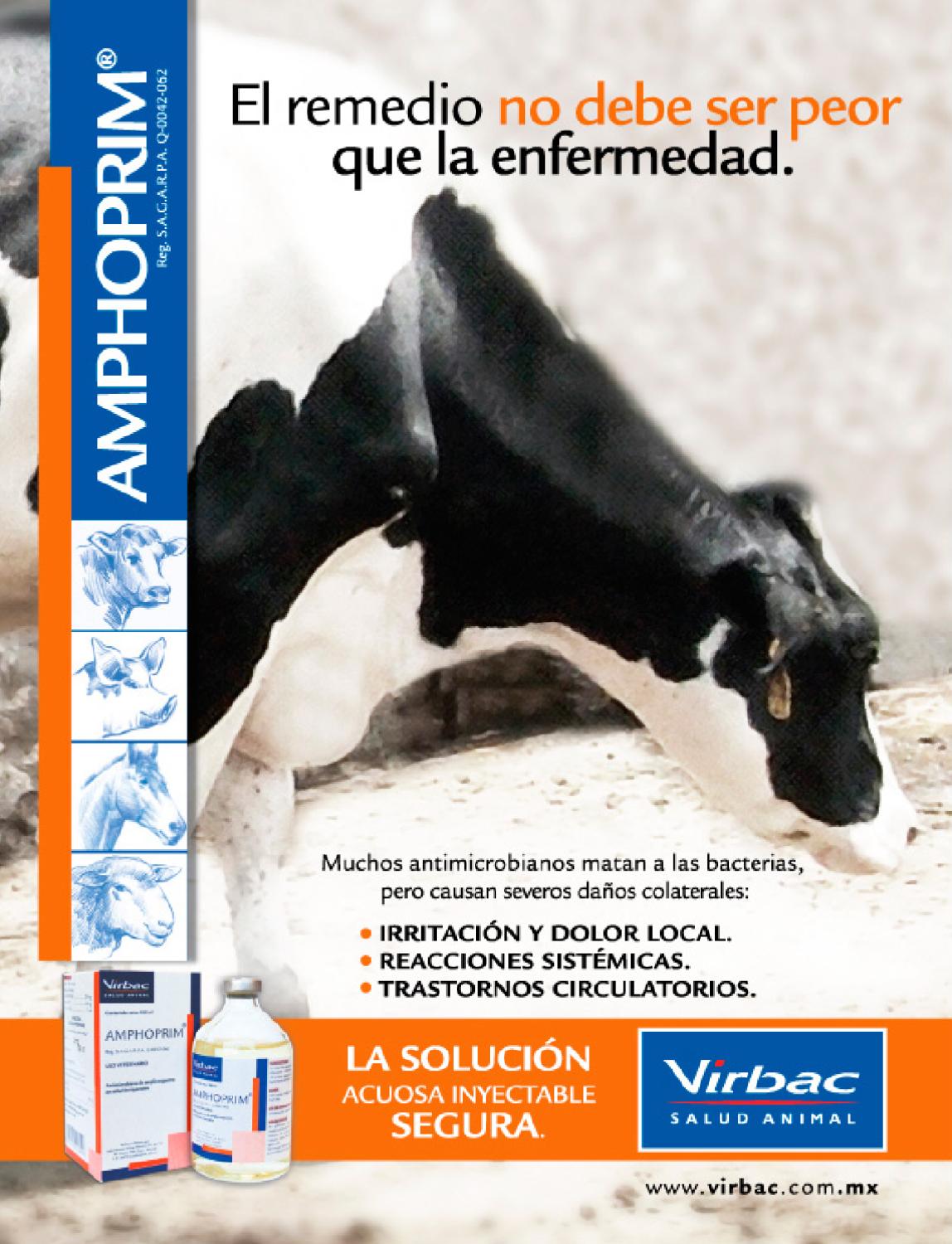 Amphoprim by Laboratorios Virbac México - Issuu