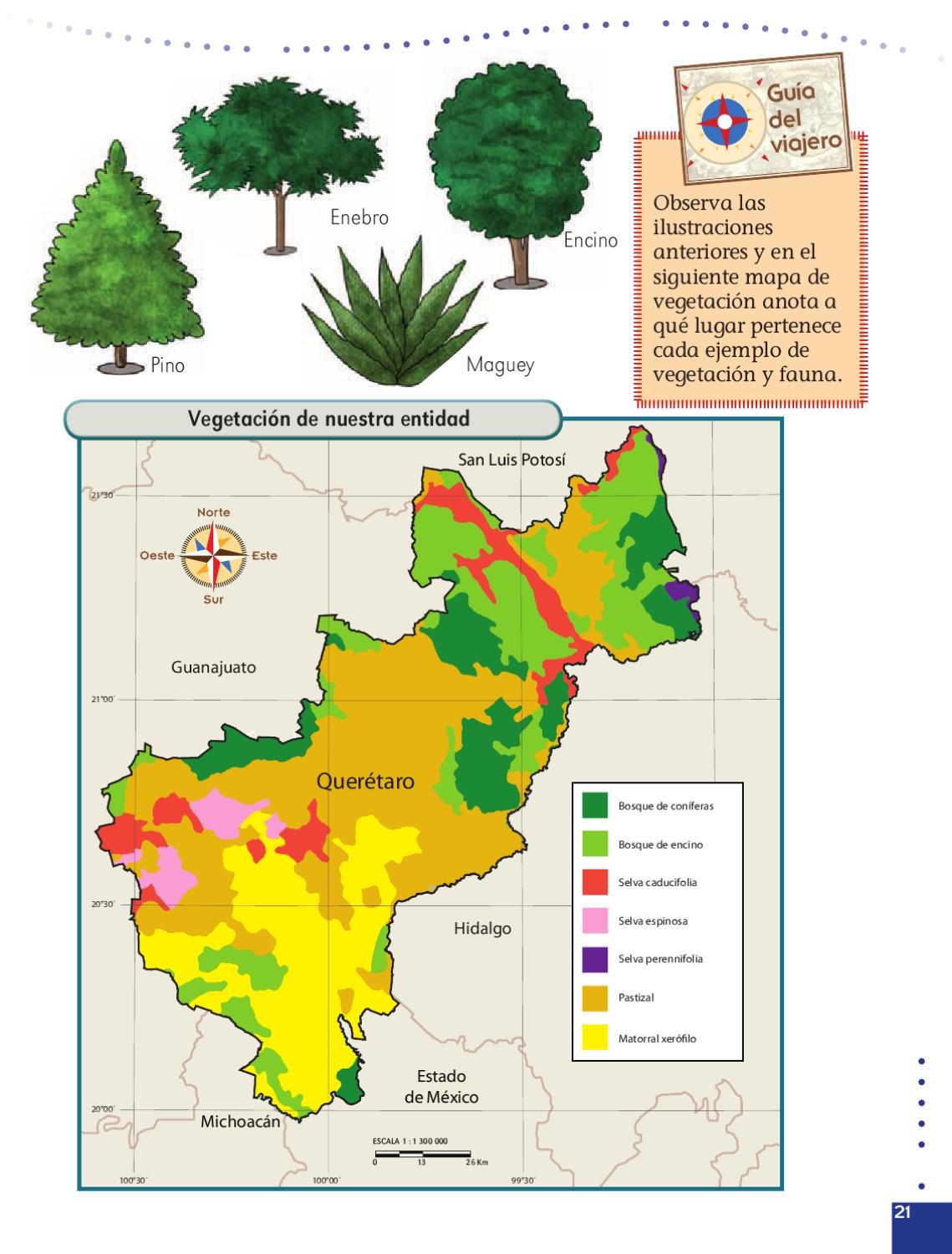 Entidad donde vivo: Querétaro by Rarámuri - Issuu