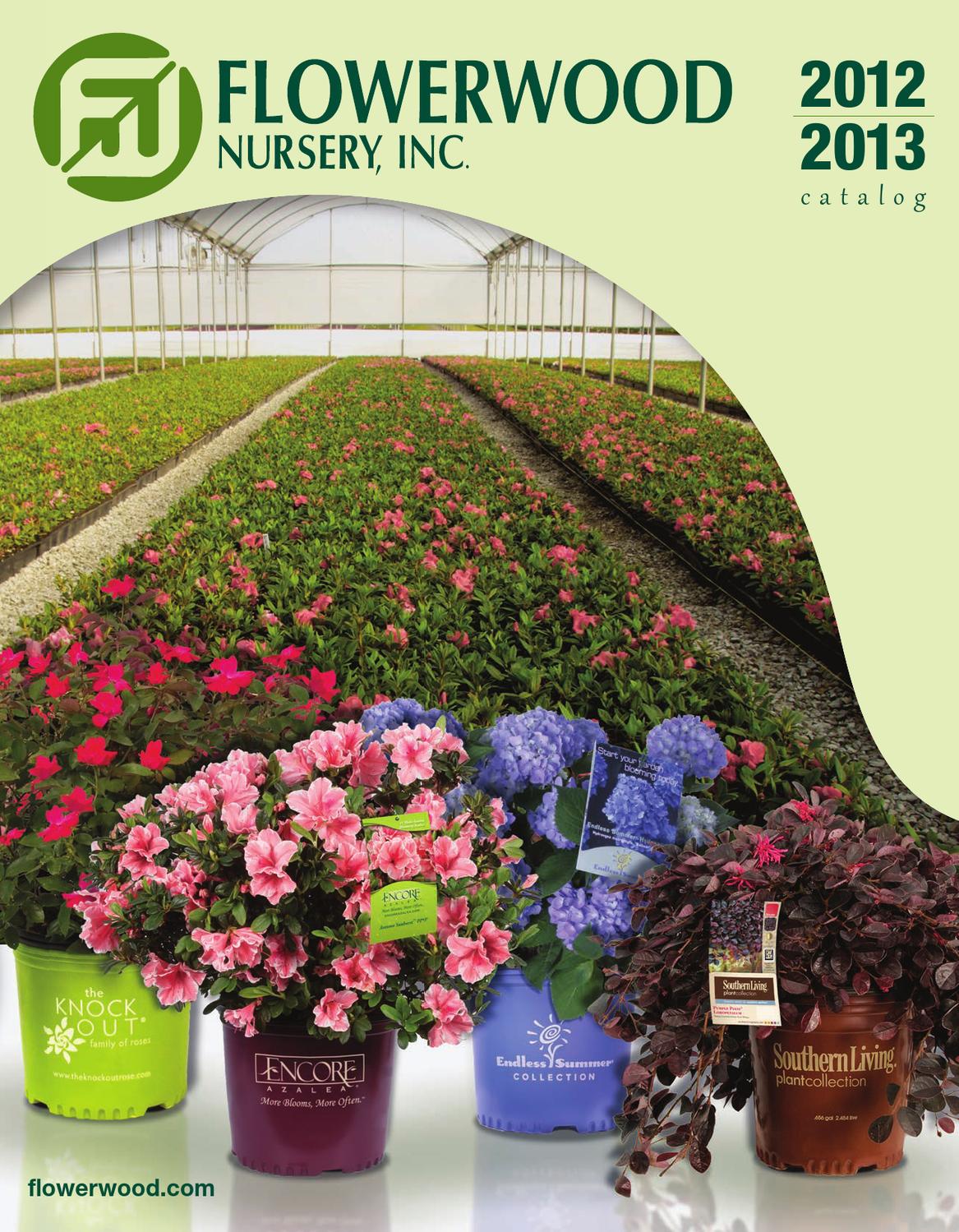 Flowerwood Catalog 2012 by Plant Development Services - Issuu