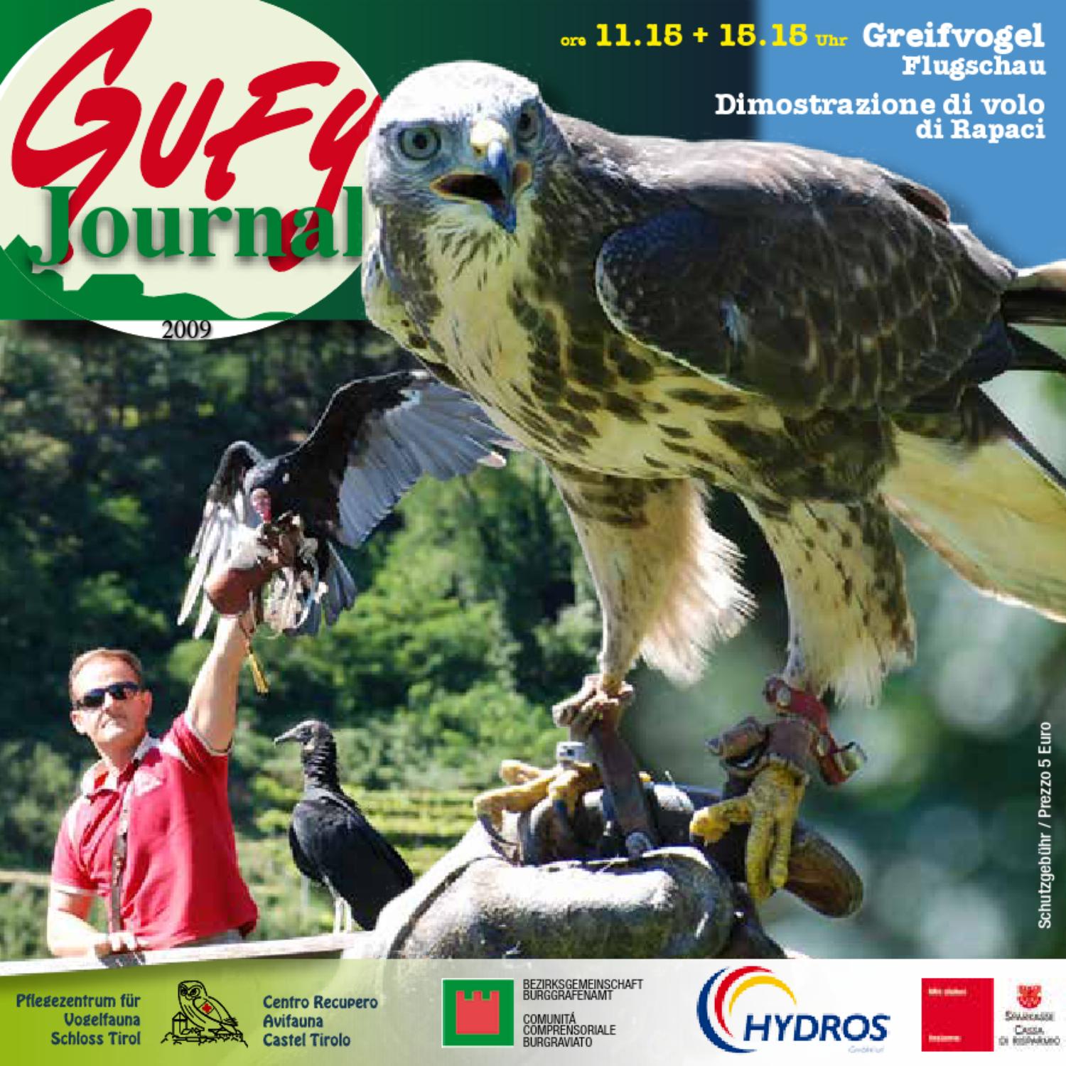 Gufy - Journal by mediamacs concept design - Issuu