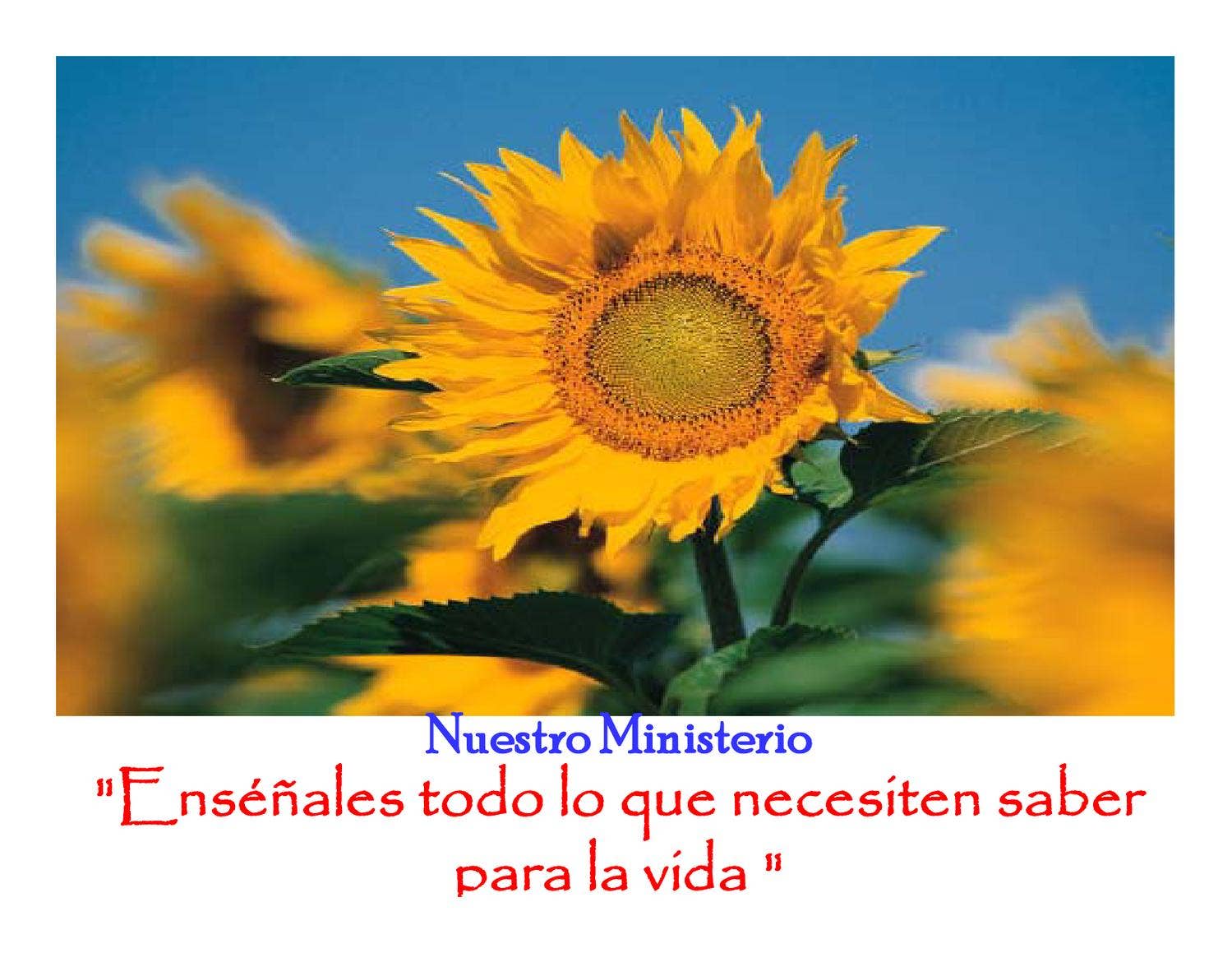 EXPOSICI%C3%93N%20TALLER by Emmanuel College - Issuu