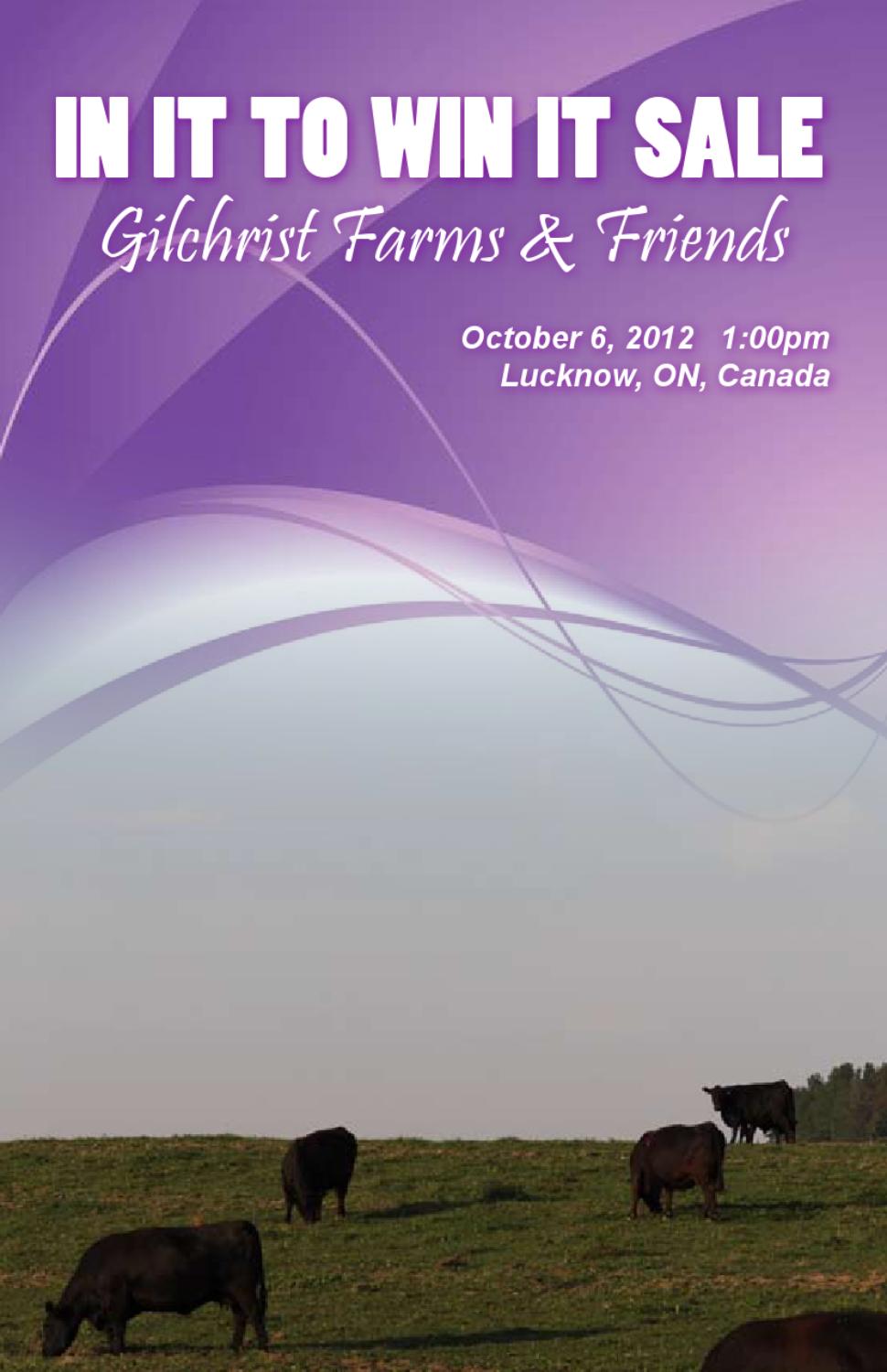 2012 Gilchrist In It To Win It Angus Sale by Bohrson Marketing Services ...