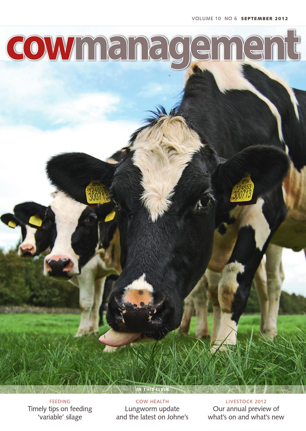 CowManagement september 2012 by CRV Uitgeverij/CRV Publishers - Issuu
