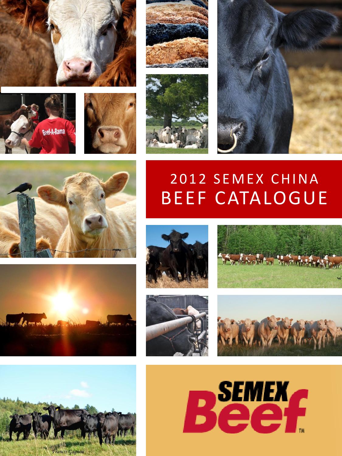Semex China 2012 Beef Catalogue by Semex - Issuu
