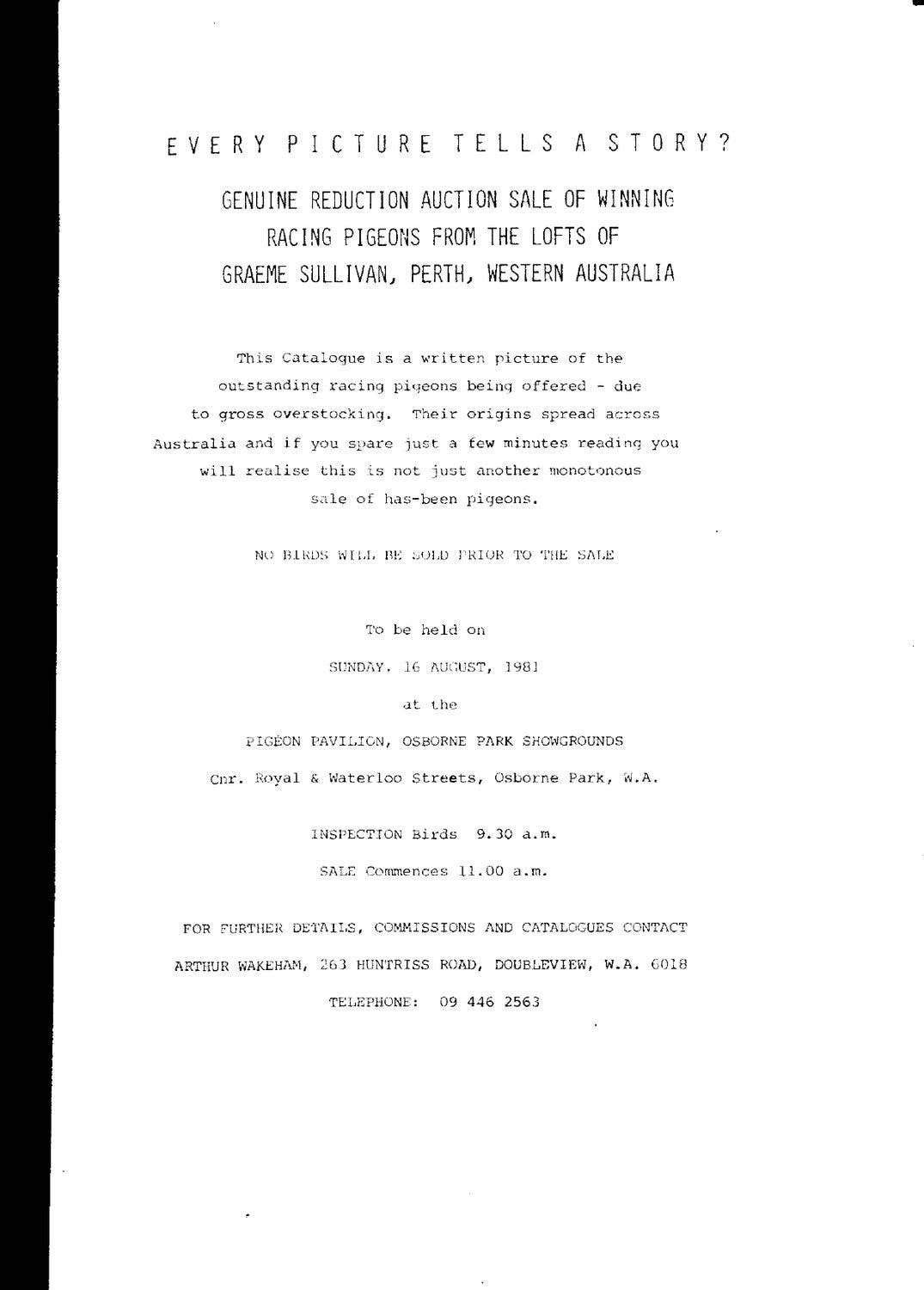 Graeme Sullivan 16th Aug 1981 by Australian Pigeon Catalogues - Issuu