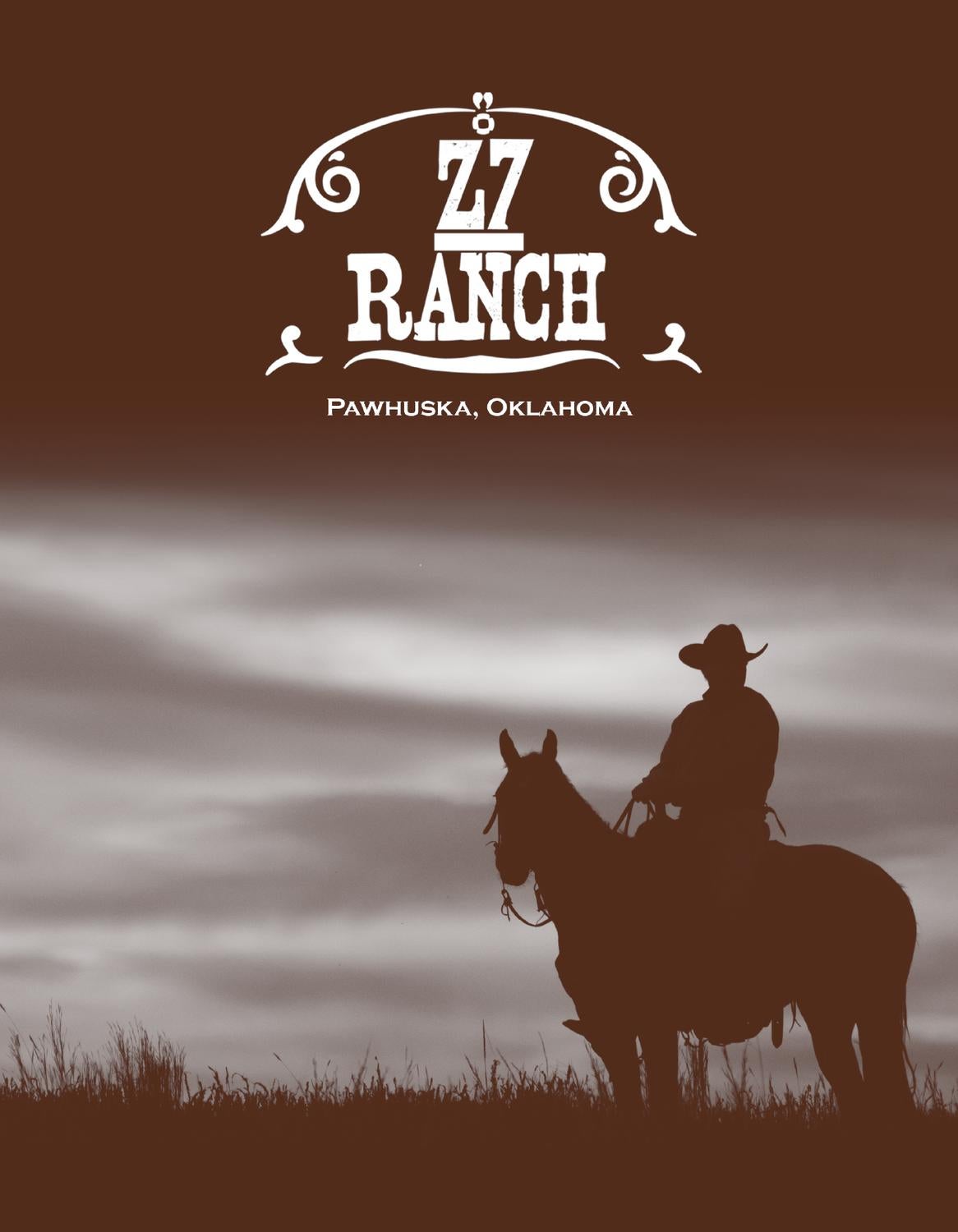 Z7 Bar Ranch 4th Annual Diamonds Unlimited Elite Female Sale by Cattle ...