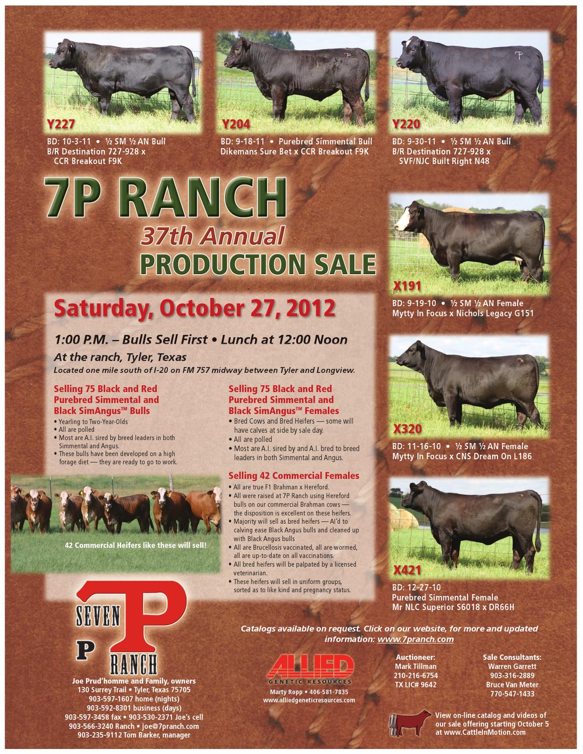 7P Ranch - 37th Annual Production Sale by Cattle In Motion, LLC - Issuu