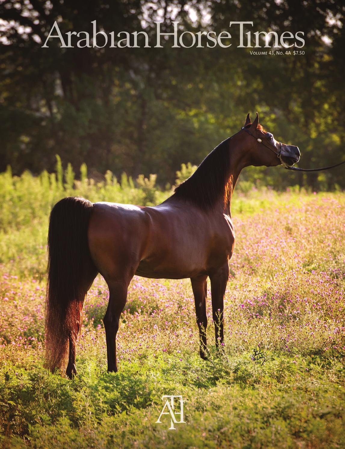Arabian Horse Times Vol. 43, No. 4A by Arabian Horse Times - Issuu