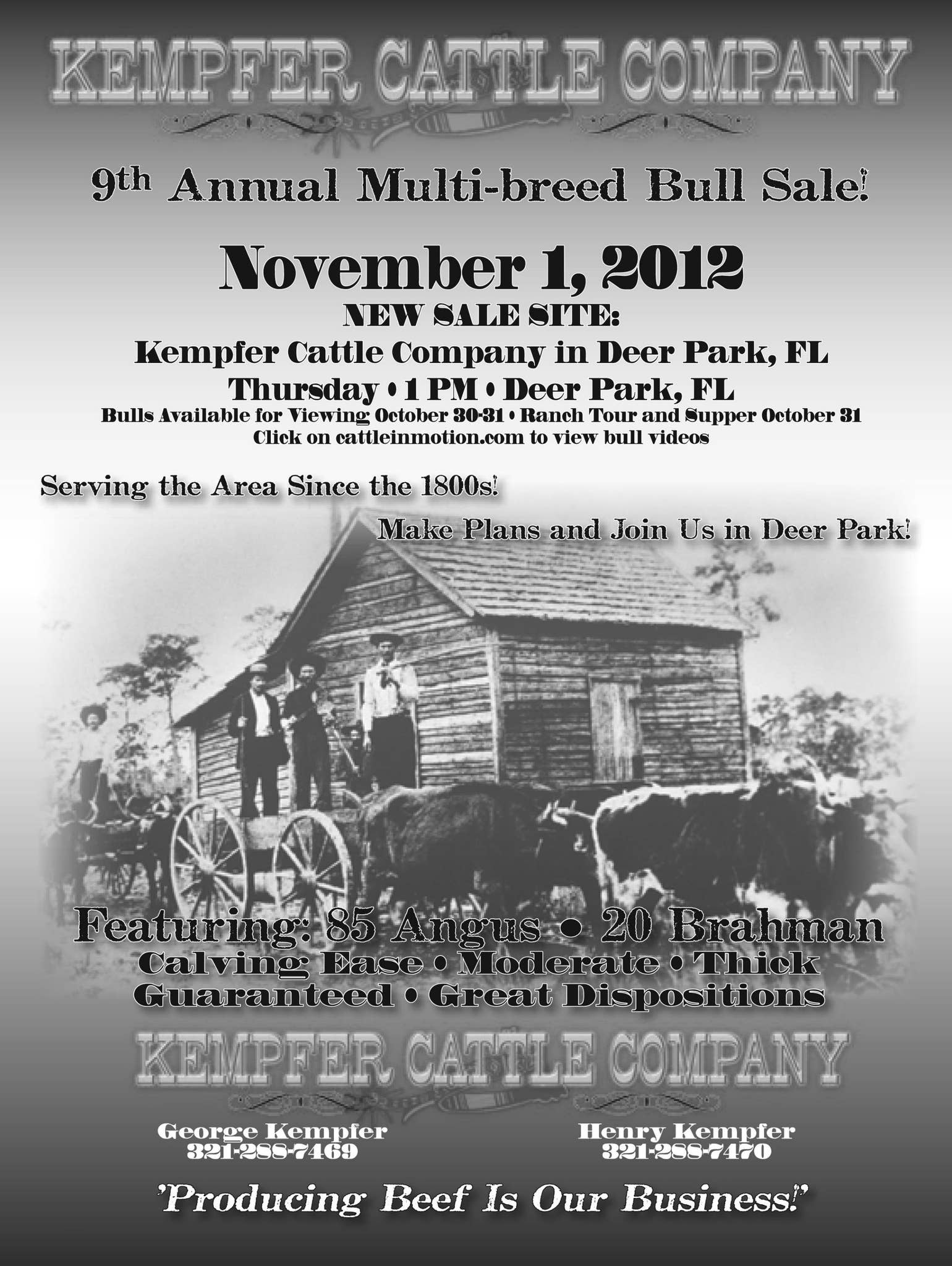 Kempfer Cattle Co by Cattle In Motion, LLC - Issuu