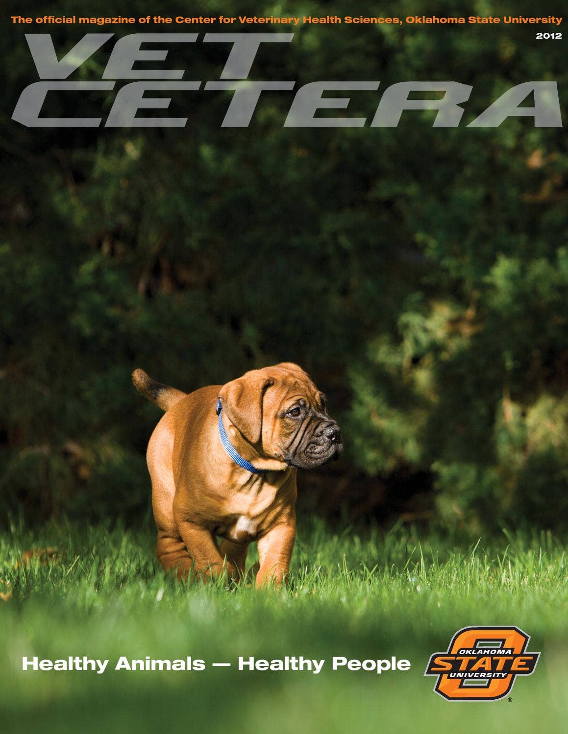 Vet Cetera 2012 by Oklahoma State - Issuu