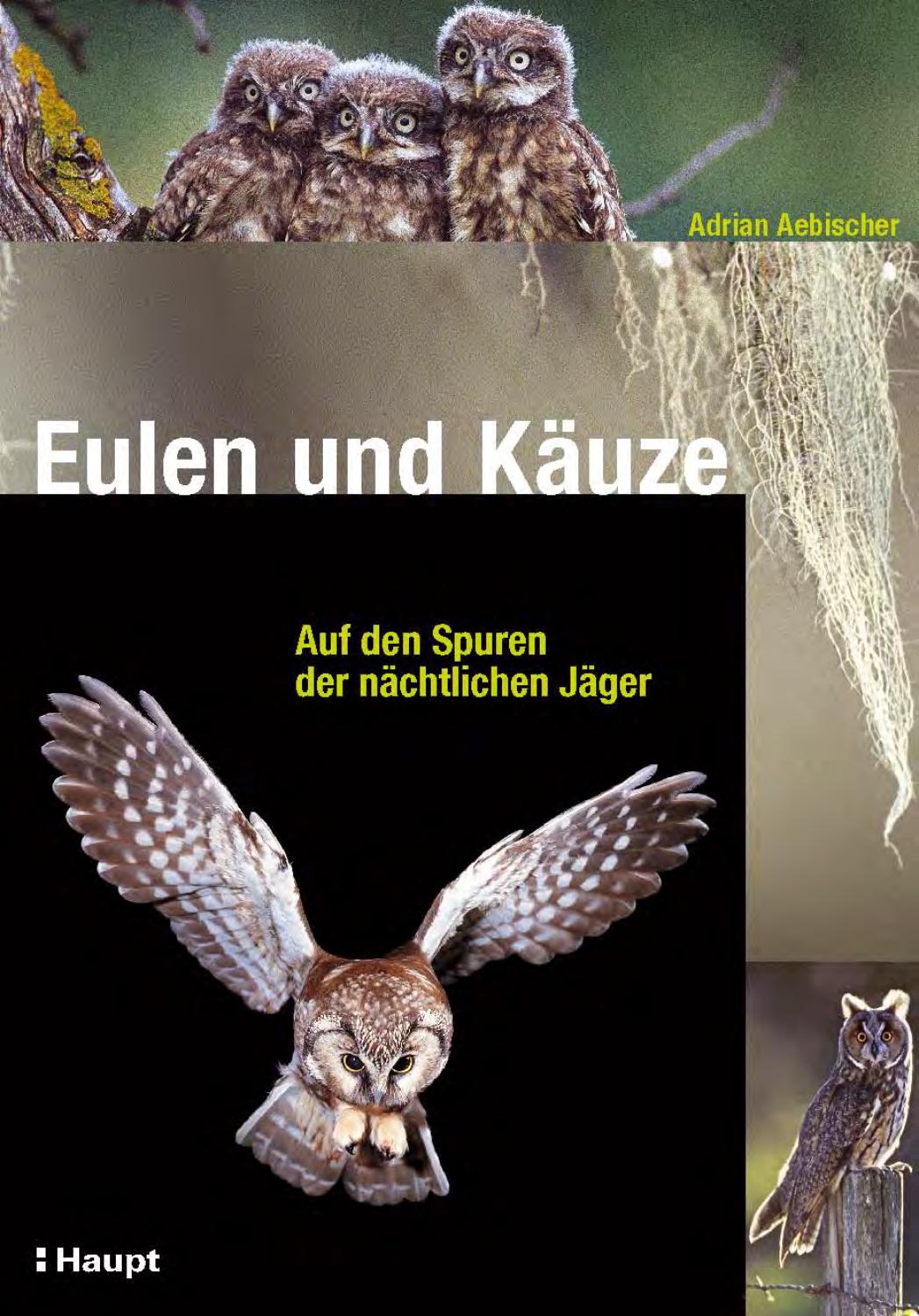 Aebischer, Eulen und Käuze by Haupt Verlag - Issuu