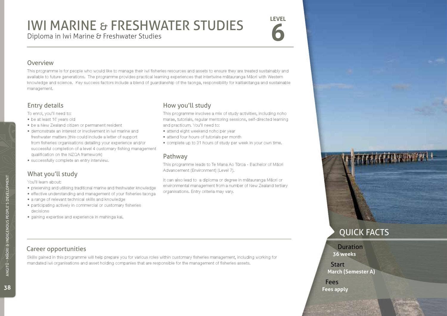 TWOA Prospectus 2013 by Te Wananga o Aotearoa - Issuu