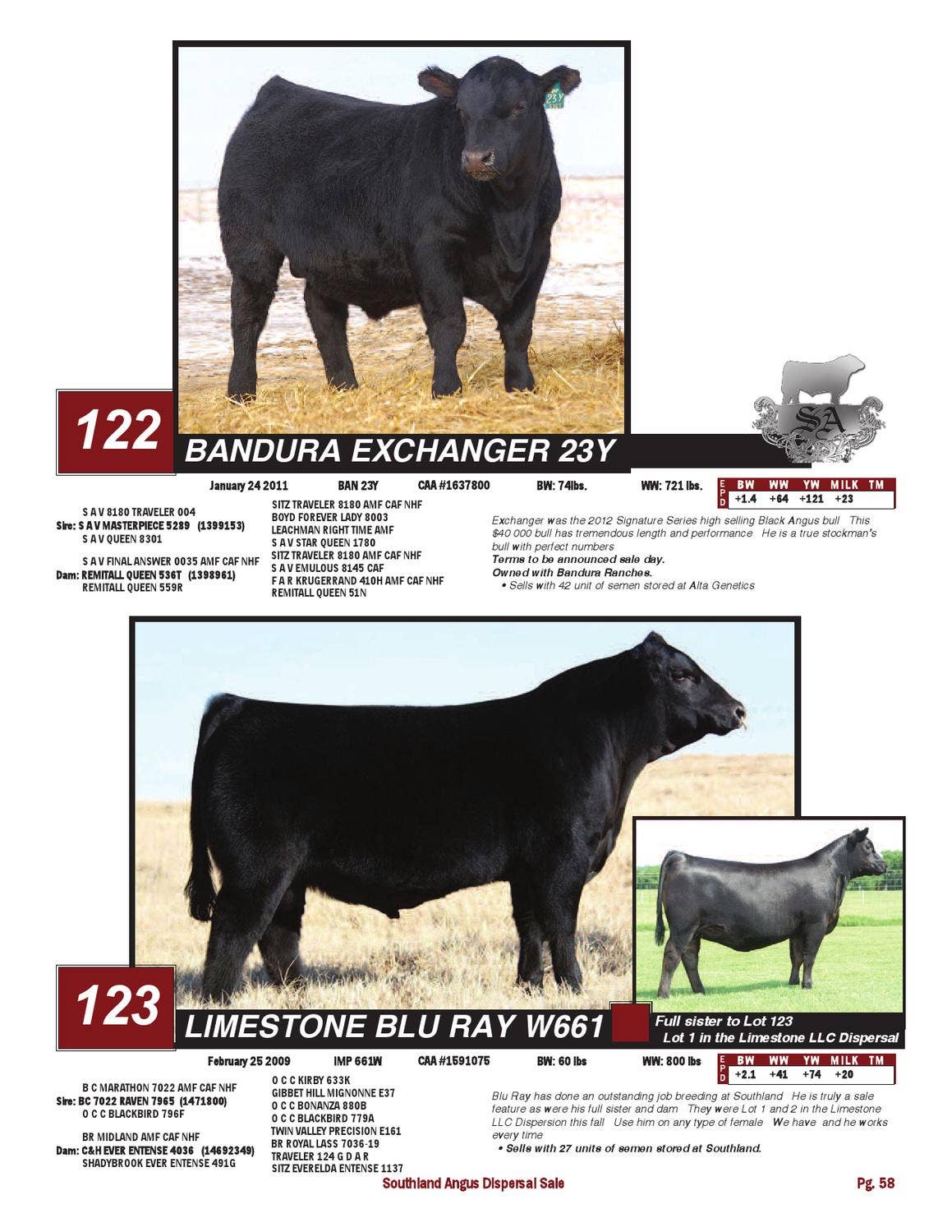 Southland Angus Dispersal Sale by Everything Angus - Issuu