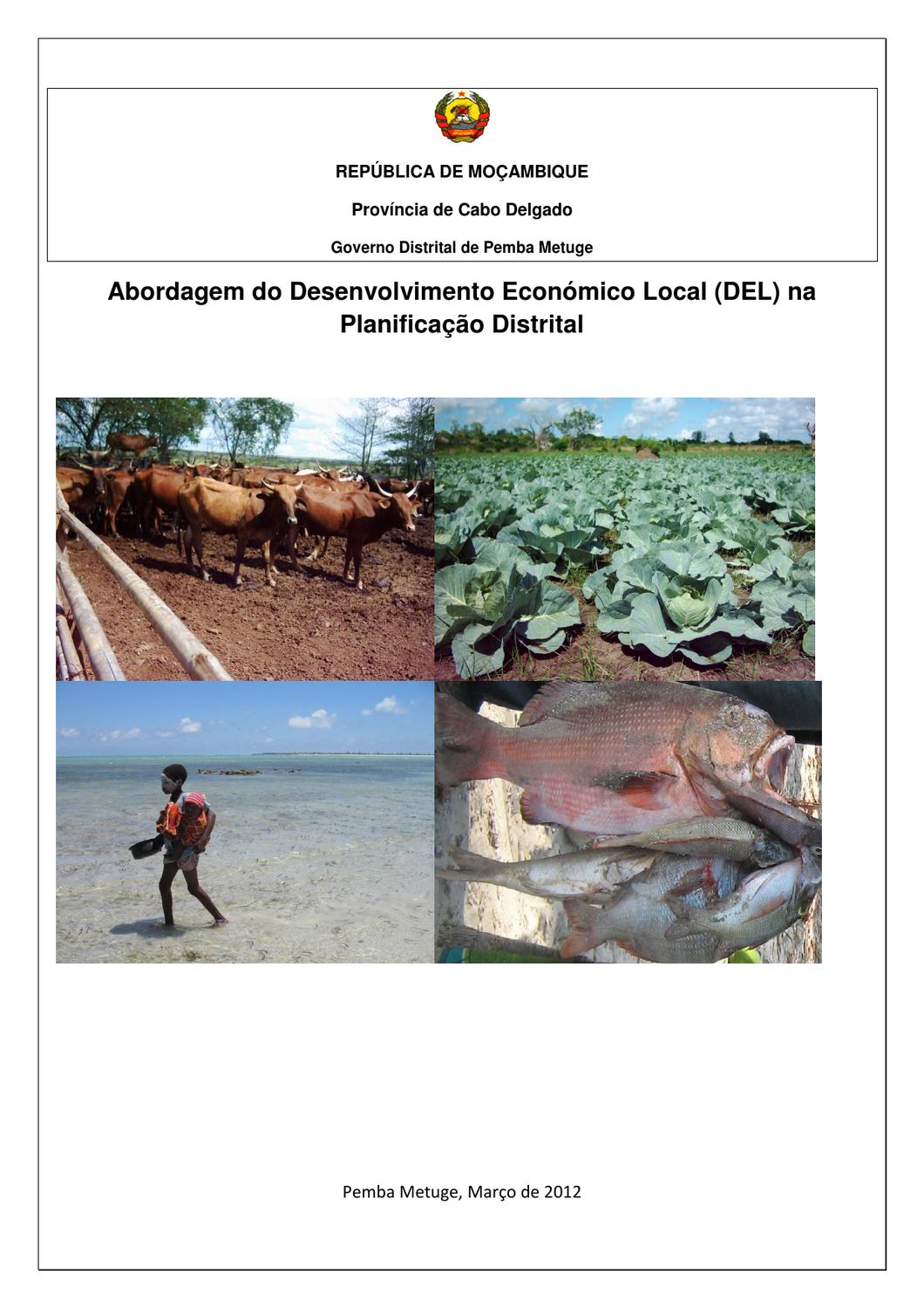 Abordagem do Desenvolvimento Económico Local na Planificação Distrital ...