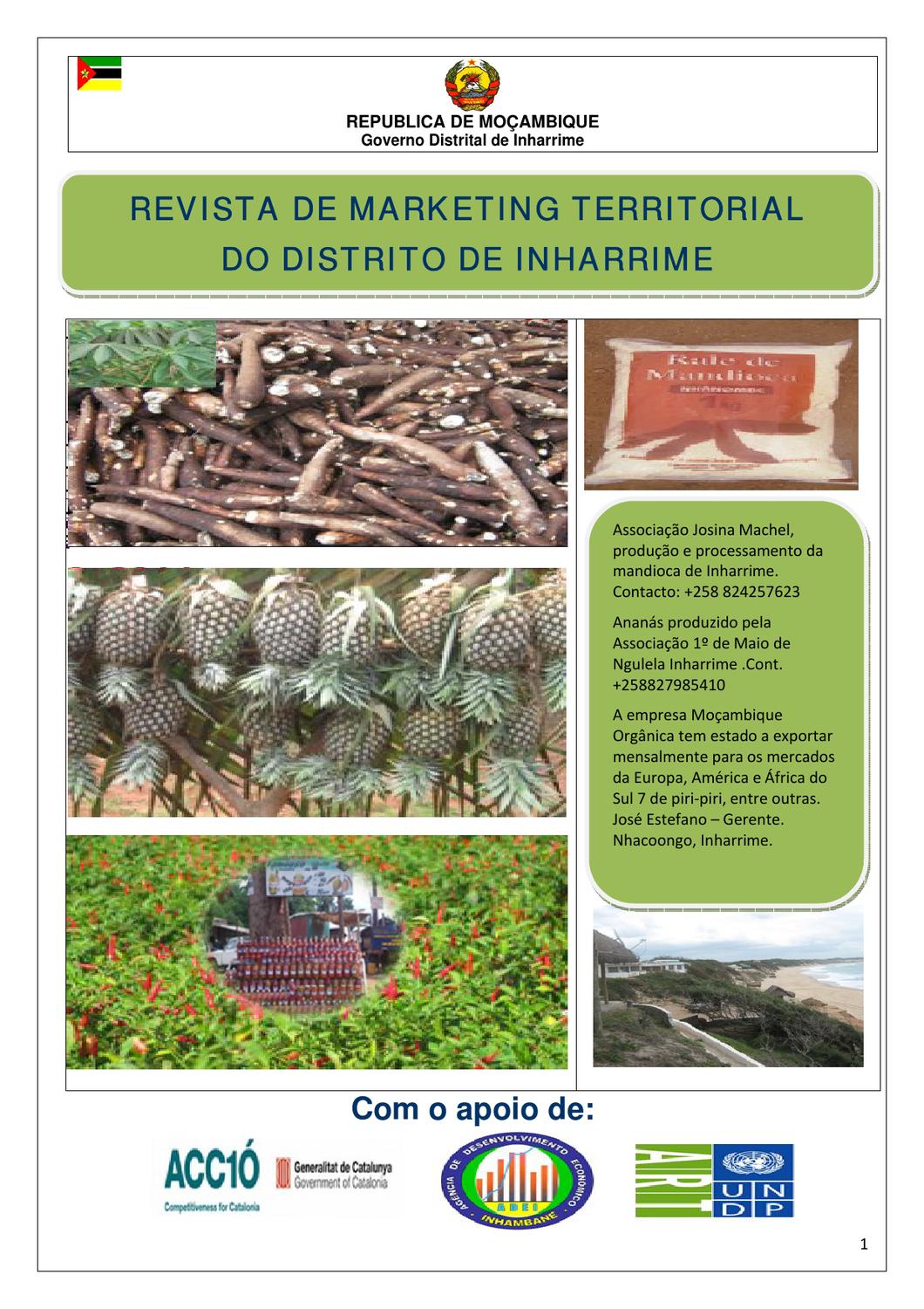 REVISTA DE MARKETING TERRITORIAL DO DISTRITO DE INHARRIME by UNDP ART ...