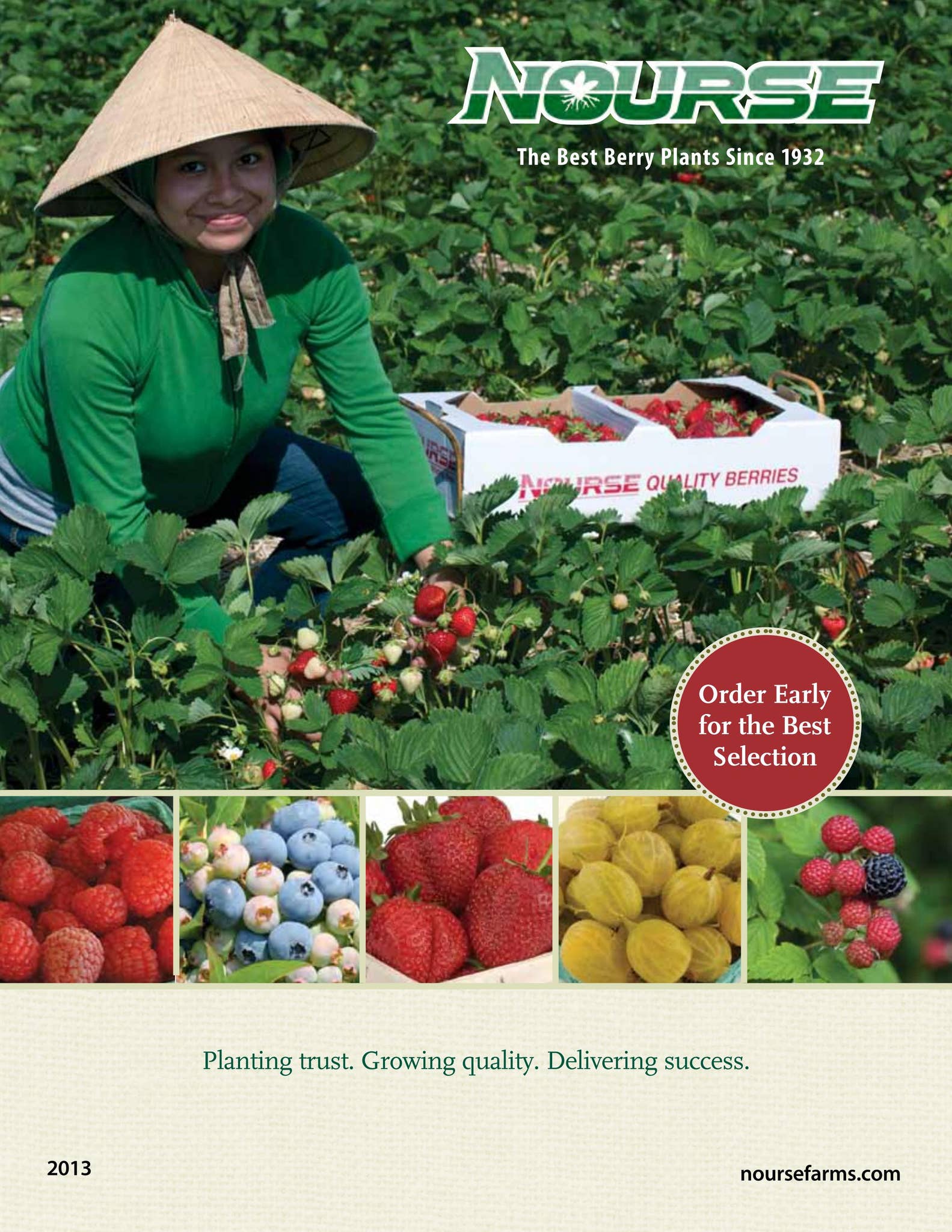 2013 Nourse Farms Catalog by Nourse Farms - Issuu