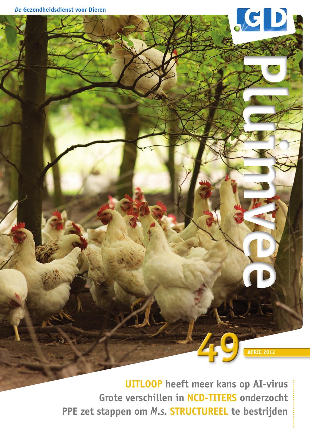GD Pluimvee april 2012 by Royal GD - Issuu