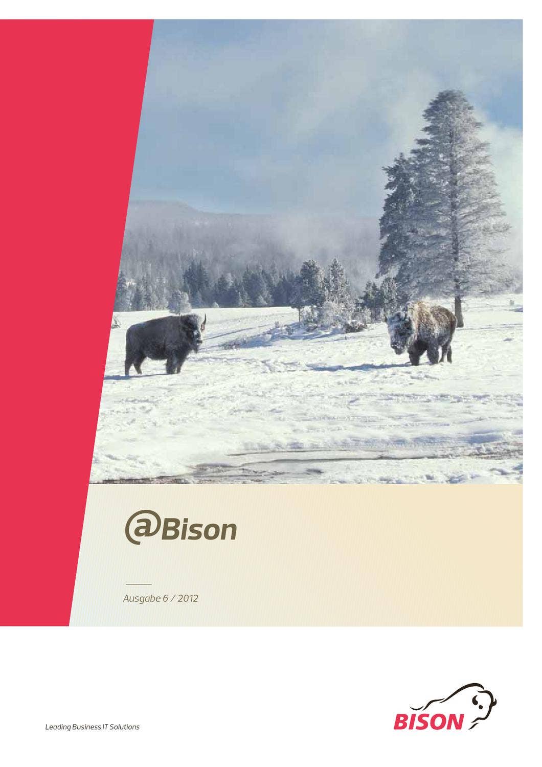 @Bison 11/2012 by Bison Schweiz AG - Issuu