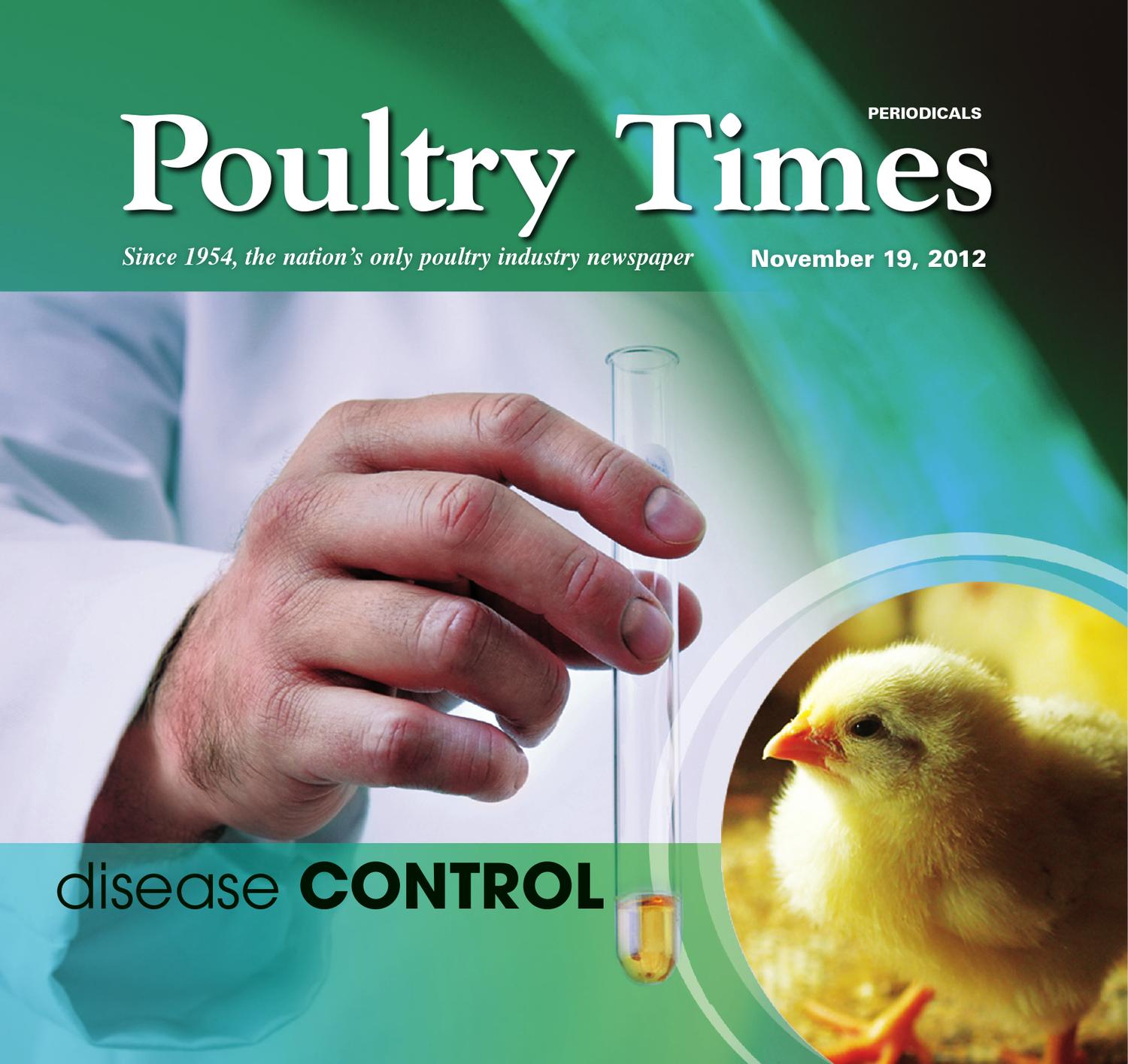 Poultry Times November 19 Edition by The Times - Issuu