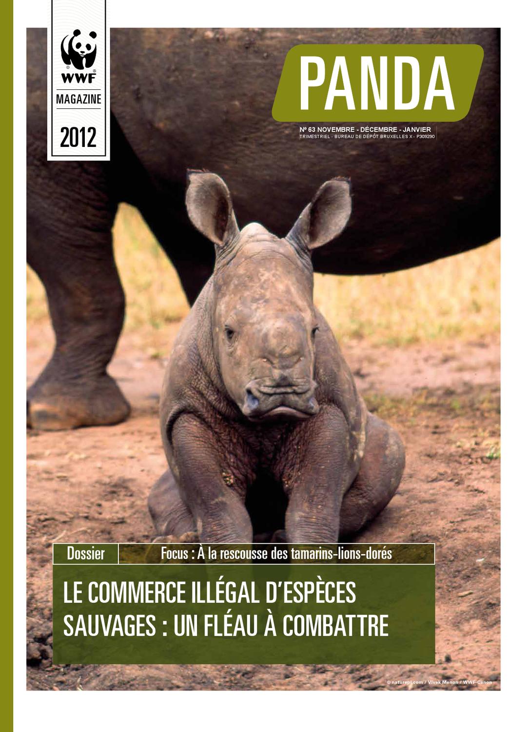 Panda Magazine by WWF-Belgium - Issuu