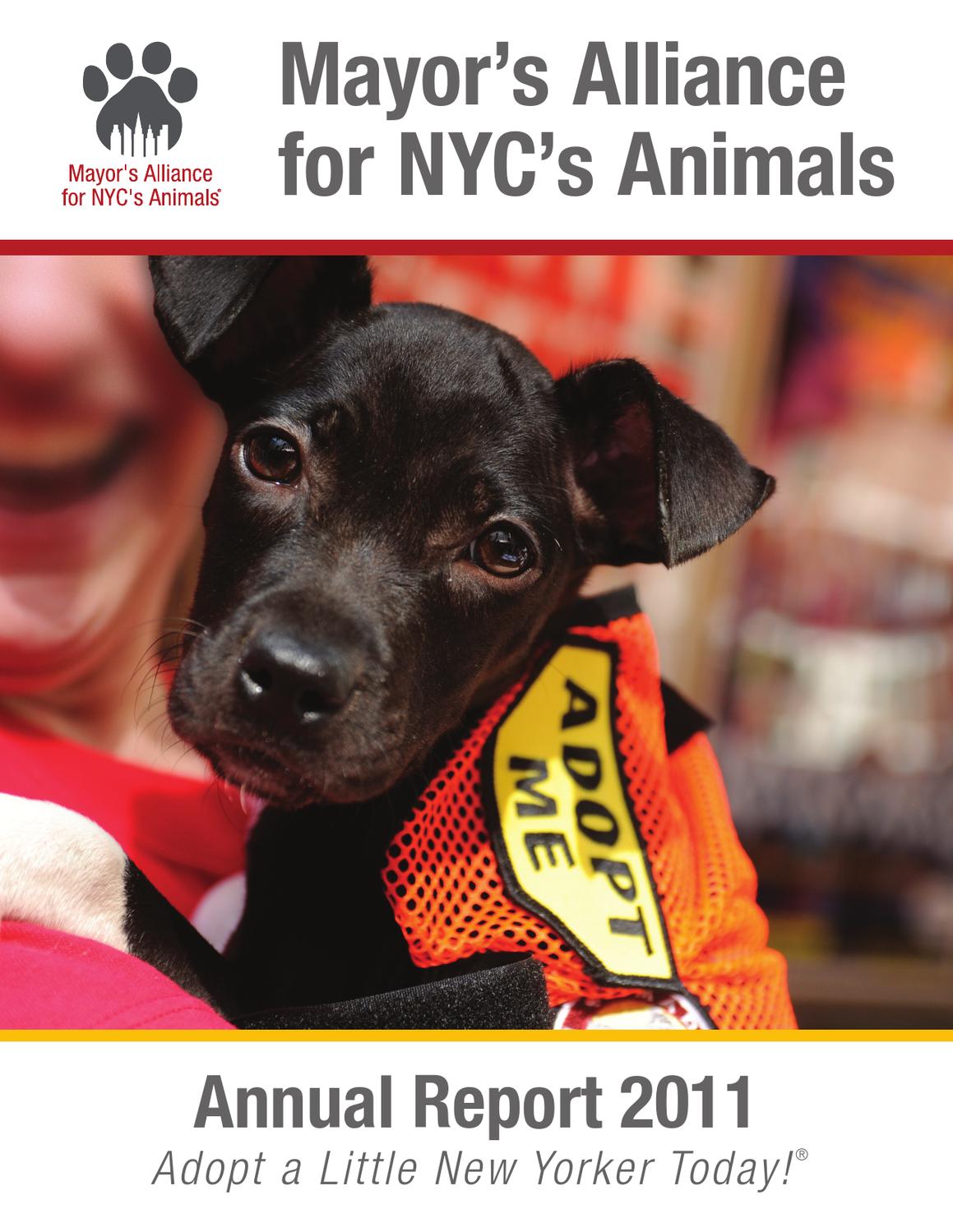 Mayor's Alliance for NYC's Animals: 2011 Annual Report by Mayor's ...