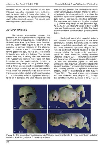 Autopsy & Case Reports by Editora Cubo - Issuu