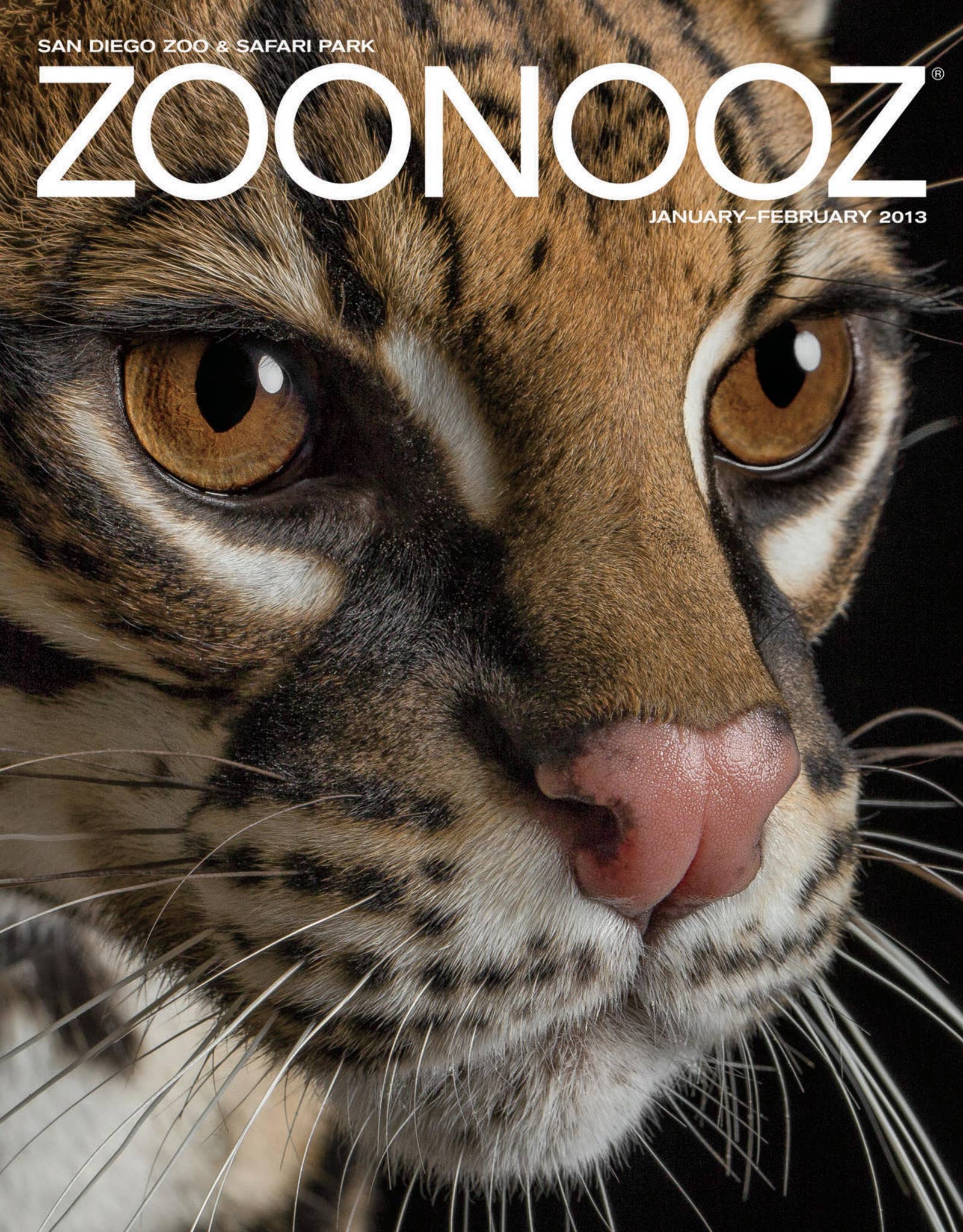 ZOONOOZ January 2013 by San Diego Zoo Wildlife Alliance - Issuu